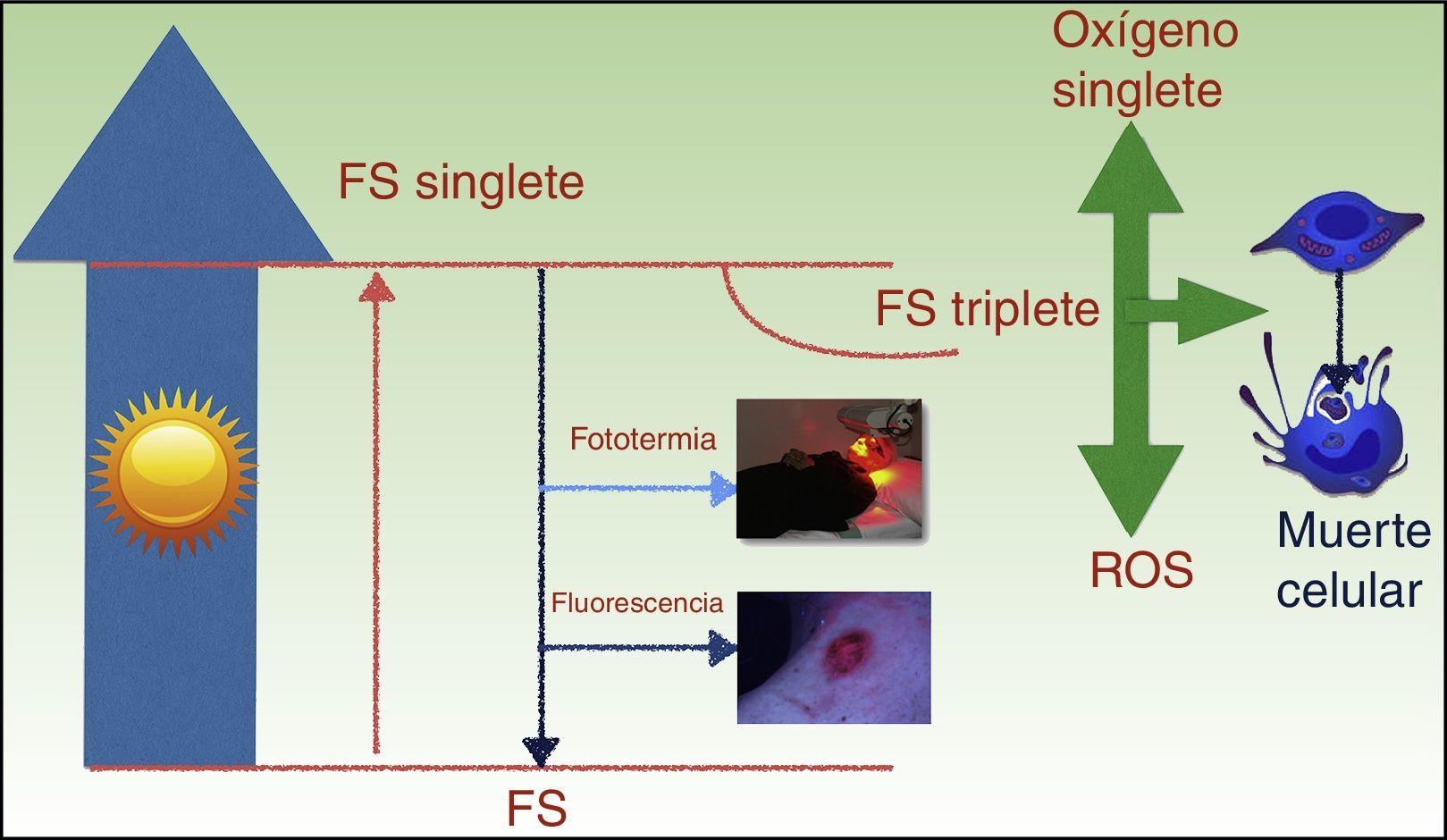 Resistencias al tratamiento no quirúrgico en cáncer cutáneo no melanoma ...