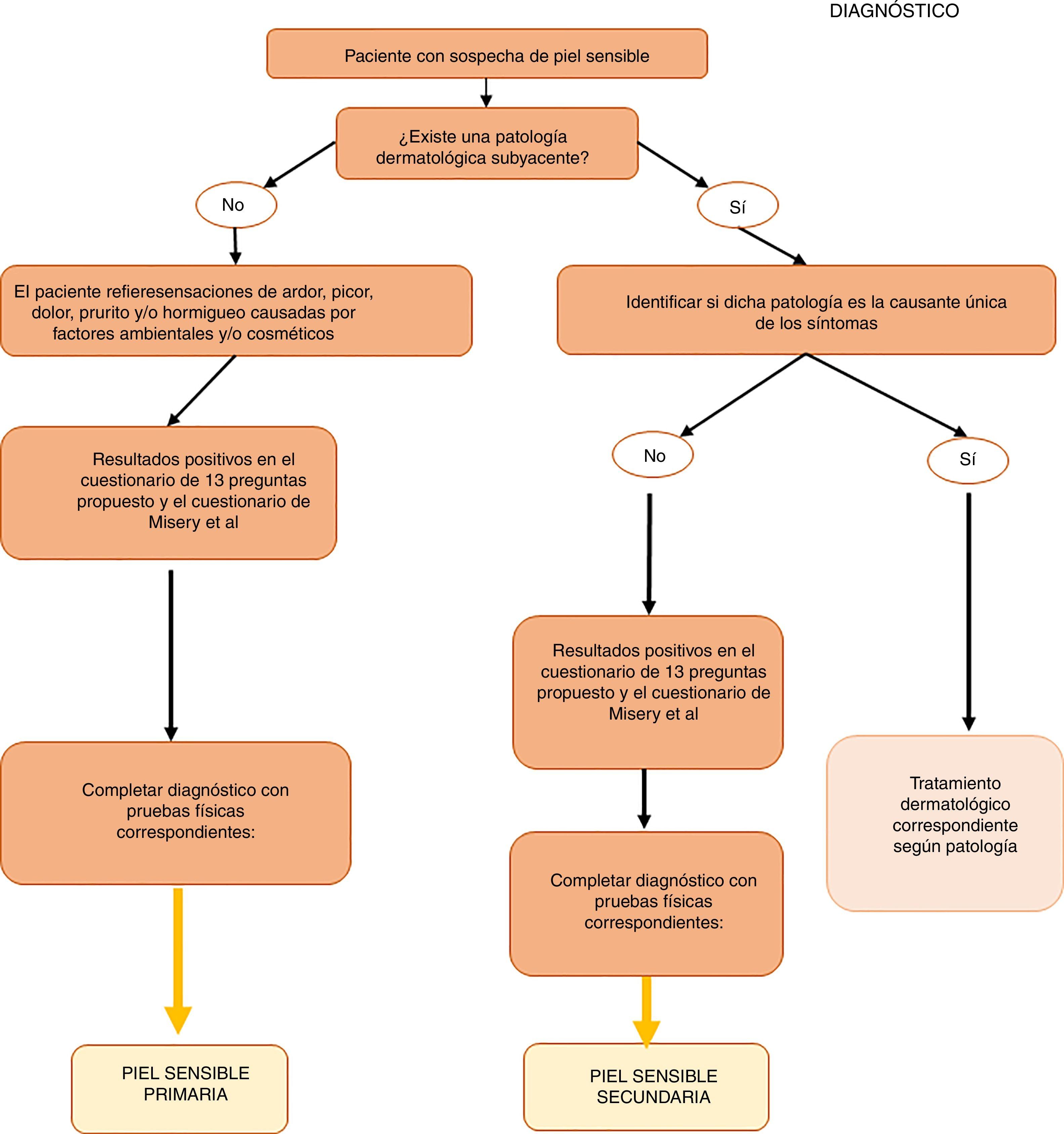 Diagnóstico y tratamiento del síndrome de piel sensible: un algoritmo ...