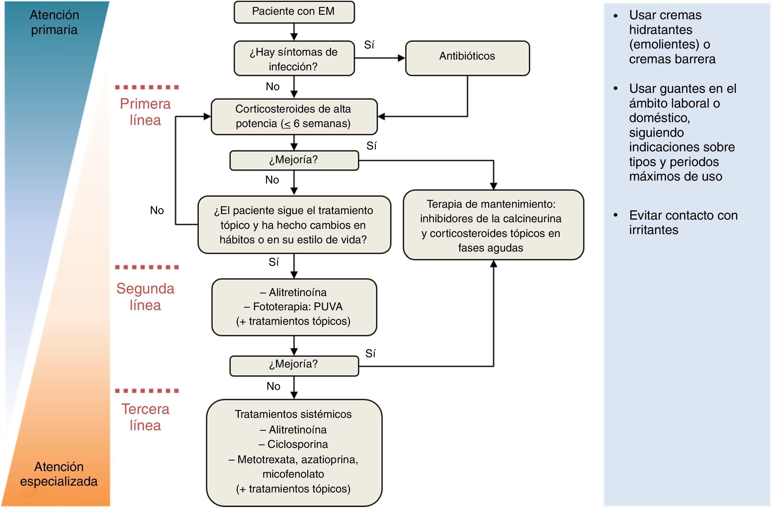 Guía para el diagnóstico, el tratamiento y la prevención del eccema de ...
