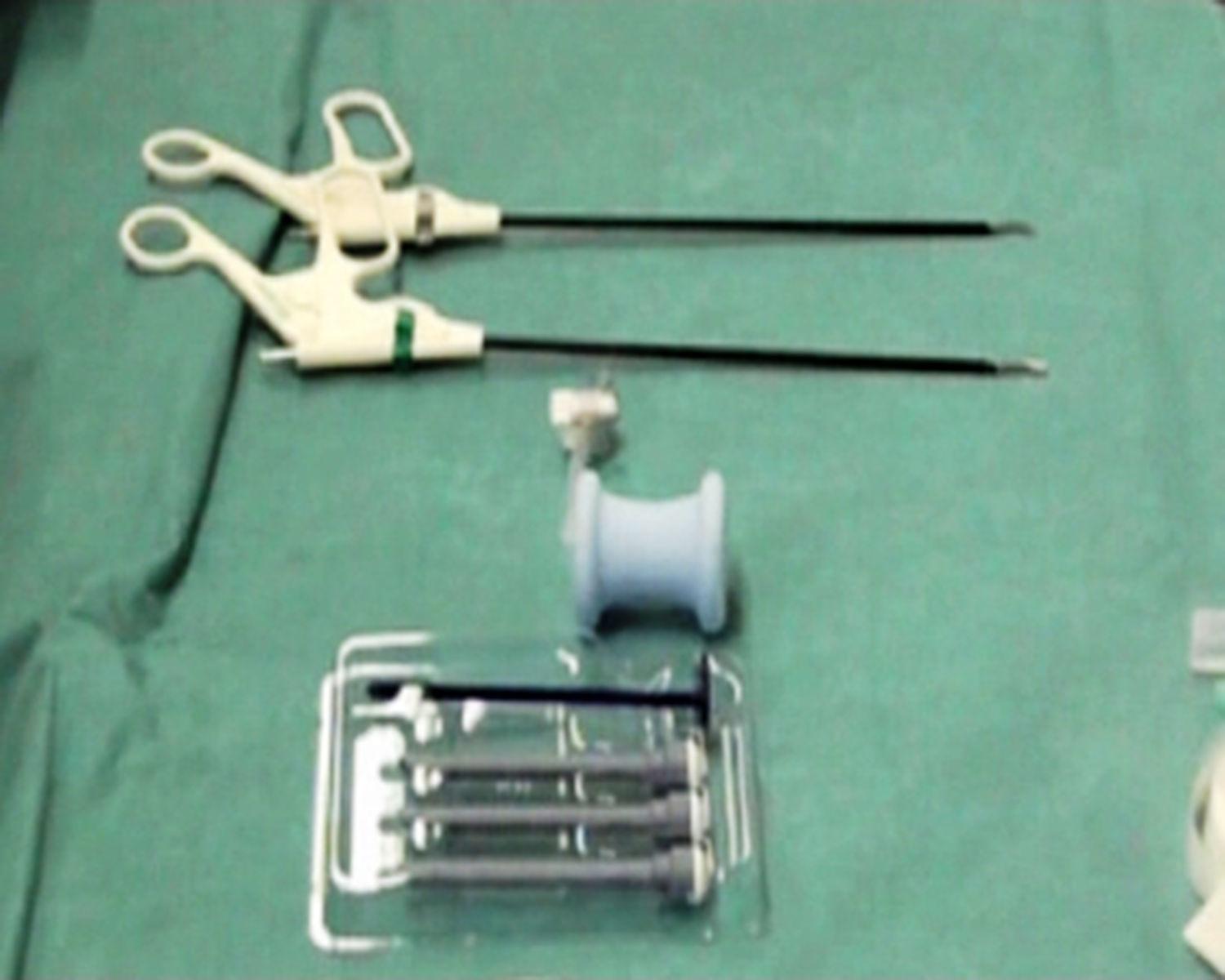 Resección transanal a través de un trocar monopuerto. Una nueva ...