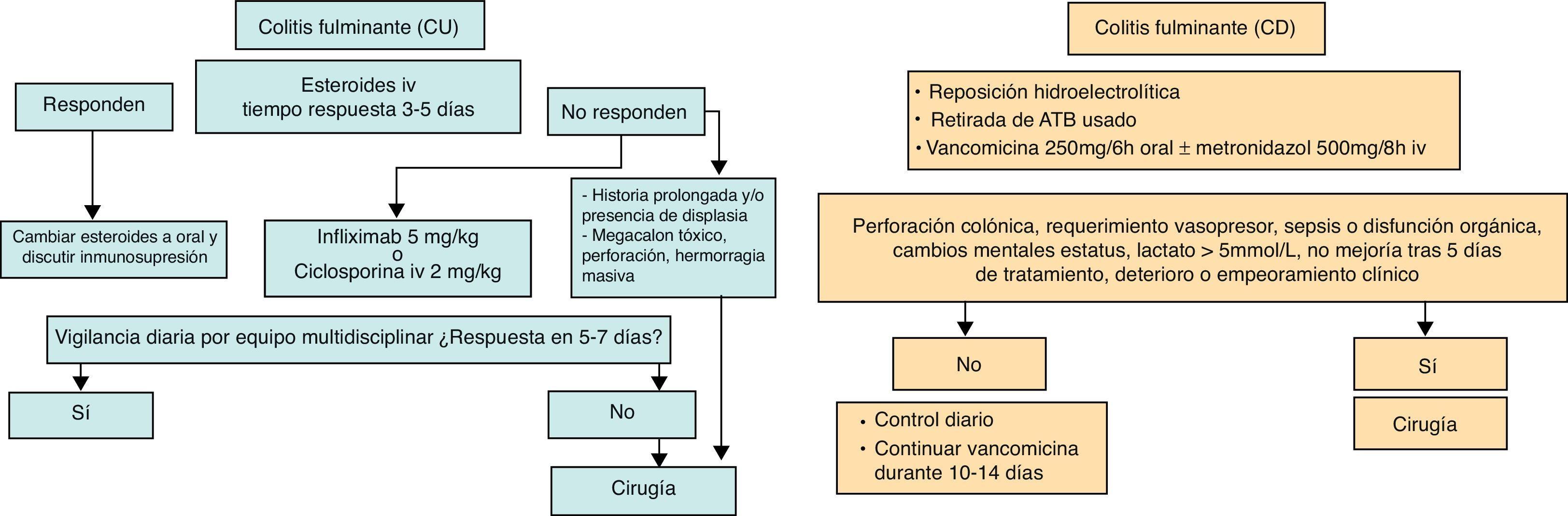 Estado actual del tratamiento de la colitis fulminante | Cirugía Española