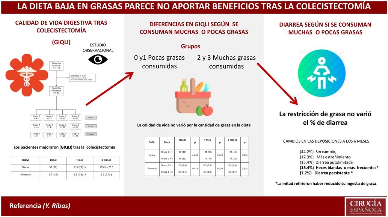 Dieta baja en grasas tras colecistectomía: ¿se debería recomendar de ...