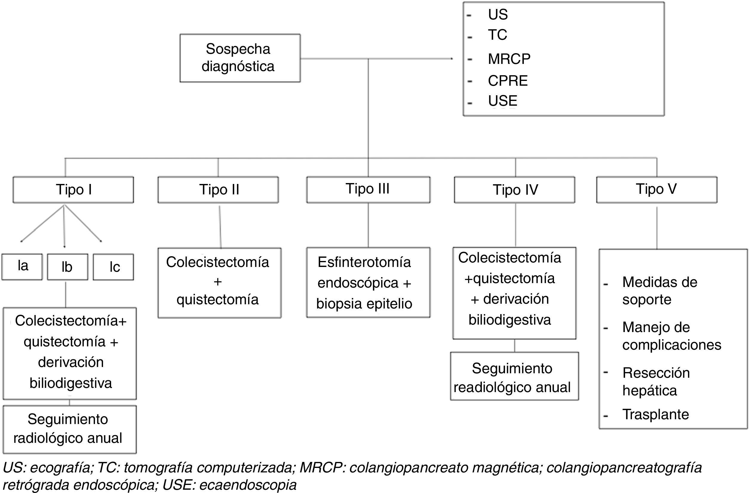 Manejo quirúrgico de los quistes de colédoco: análisis retrospectivo y ...