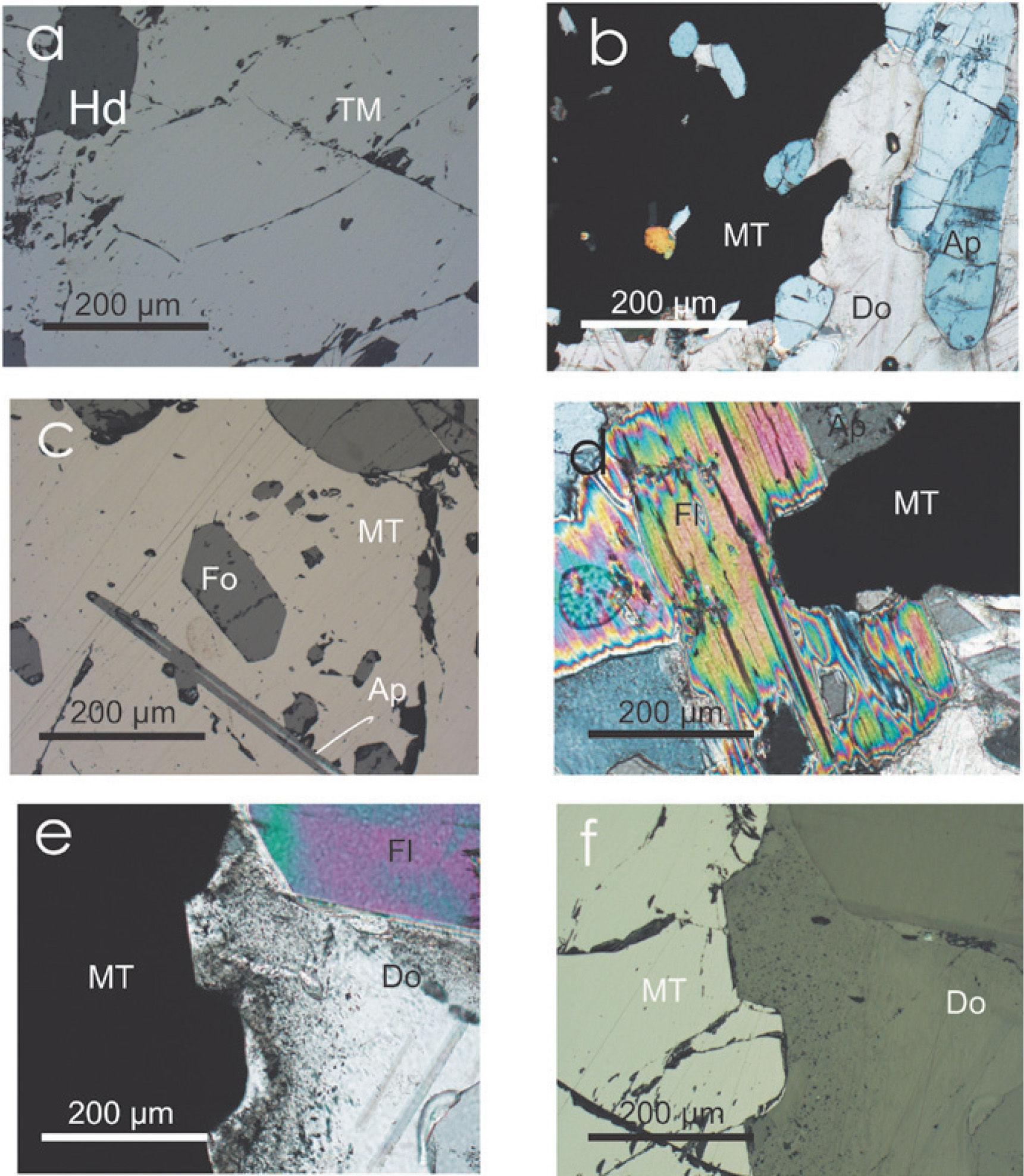 Microscopy and rock magnetism of fine grain-size titanomagnetite from ...