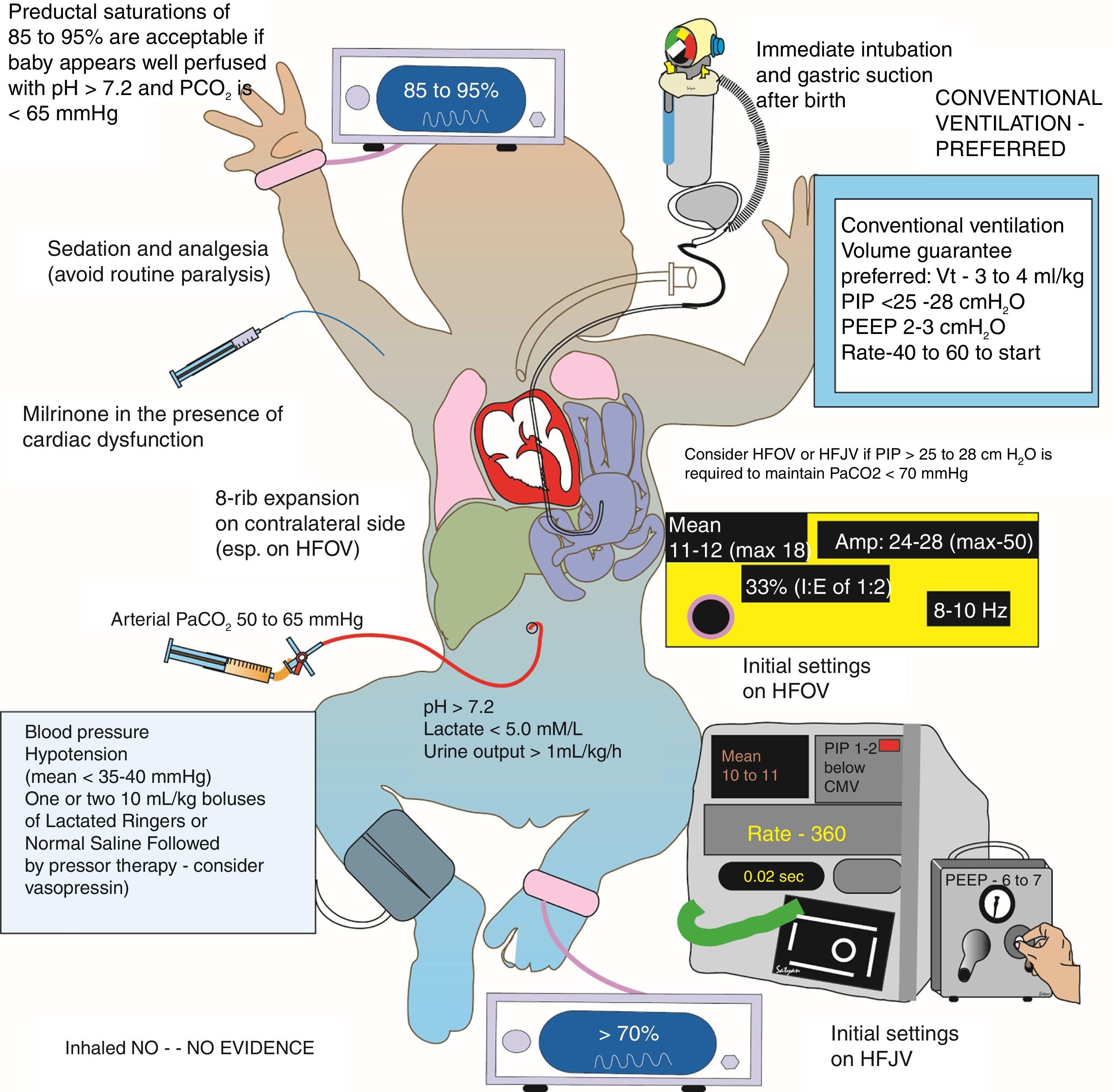 Congenital diaphragmatic hernia: 25 years of shared knowledge; what ...