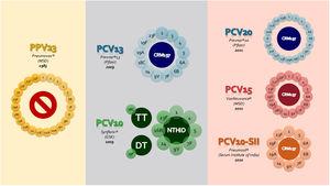 Impact of PCV10 on pediatric pneumococcal disease burden in Brazil ...