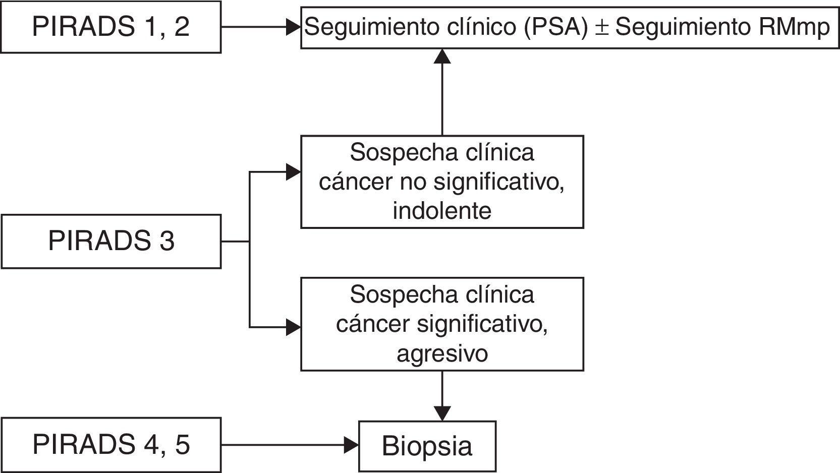 La resonancia magnética en el nuevo paradigma del diagnóstico del ...