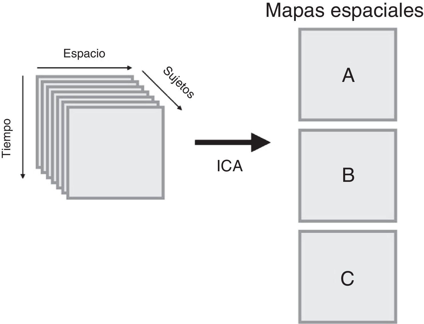 Resonancia magnética funcional: principios básicos y aplicaciones en ...