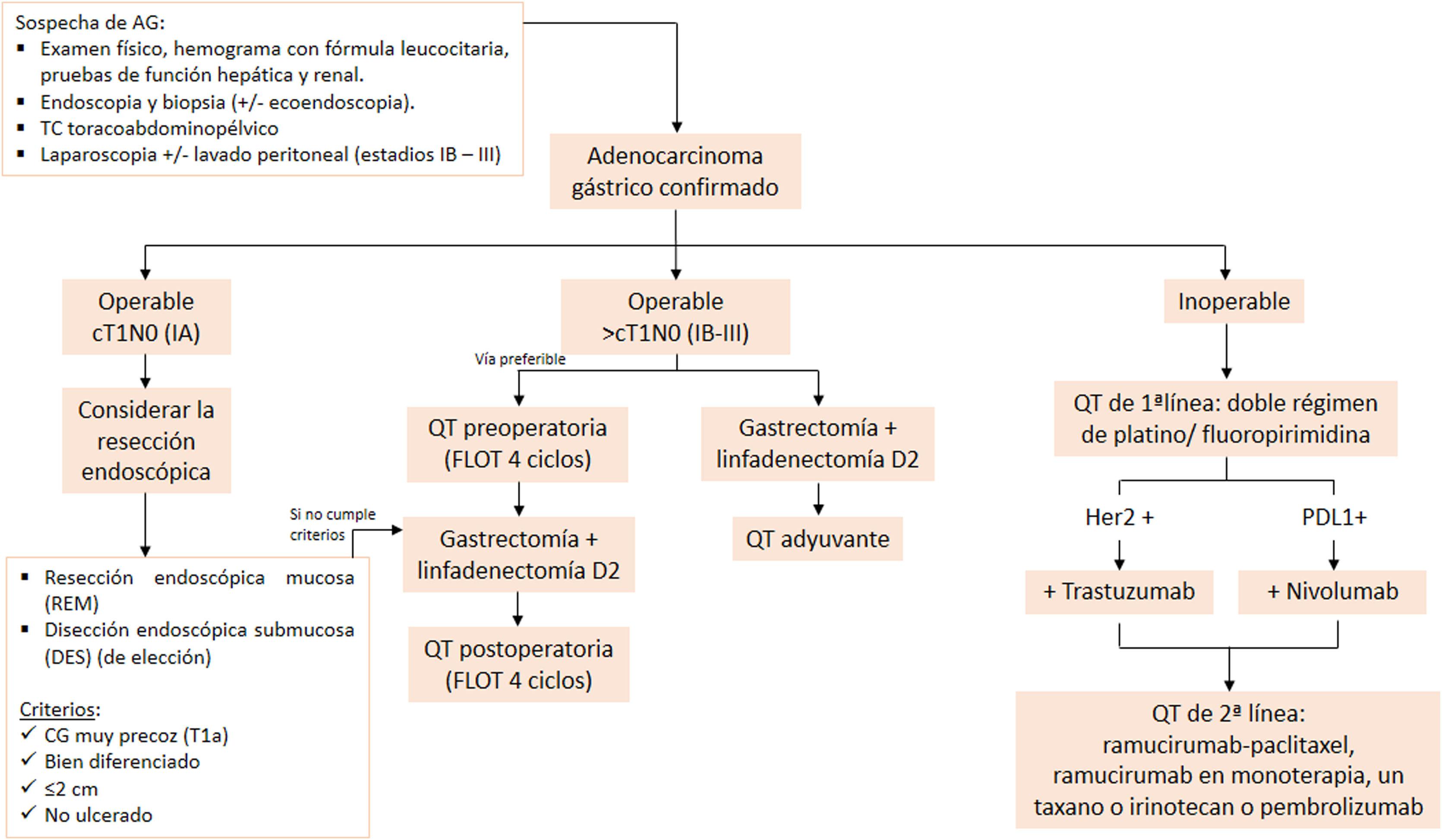 Adenocarcinoma gástrico: revisión del TNM y de las vías de diseminación ...