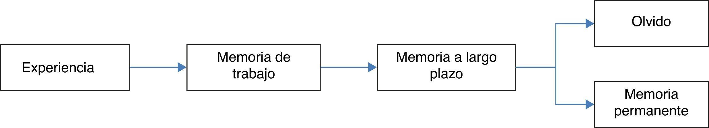 Uso de monitorizacion cerebral para el despertar intraoperatorio ...