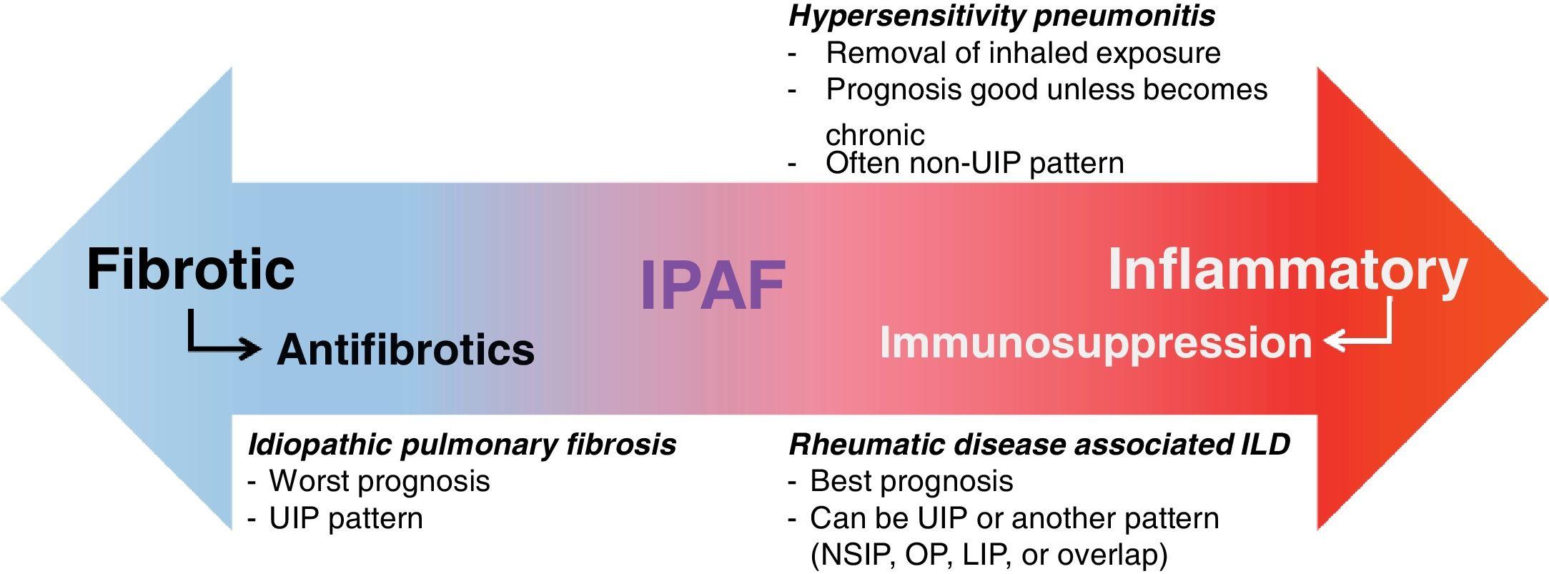 Interstitial pneumonia with autoimmune features: Aiming to define ...