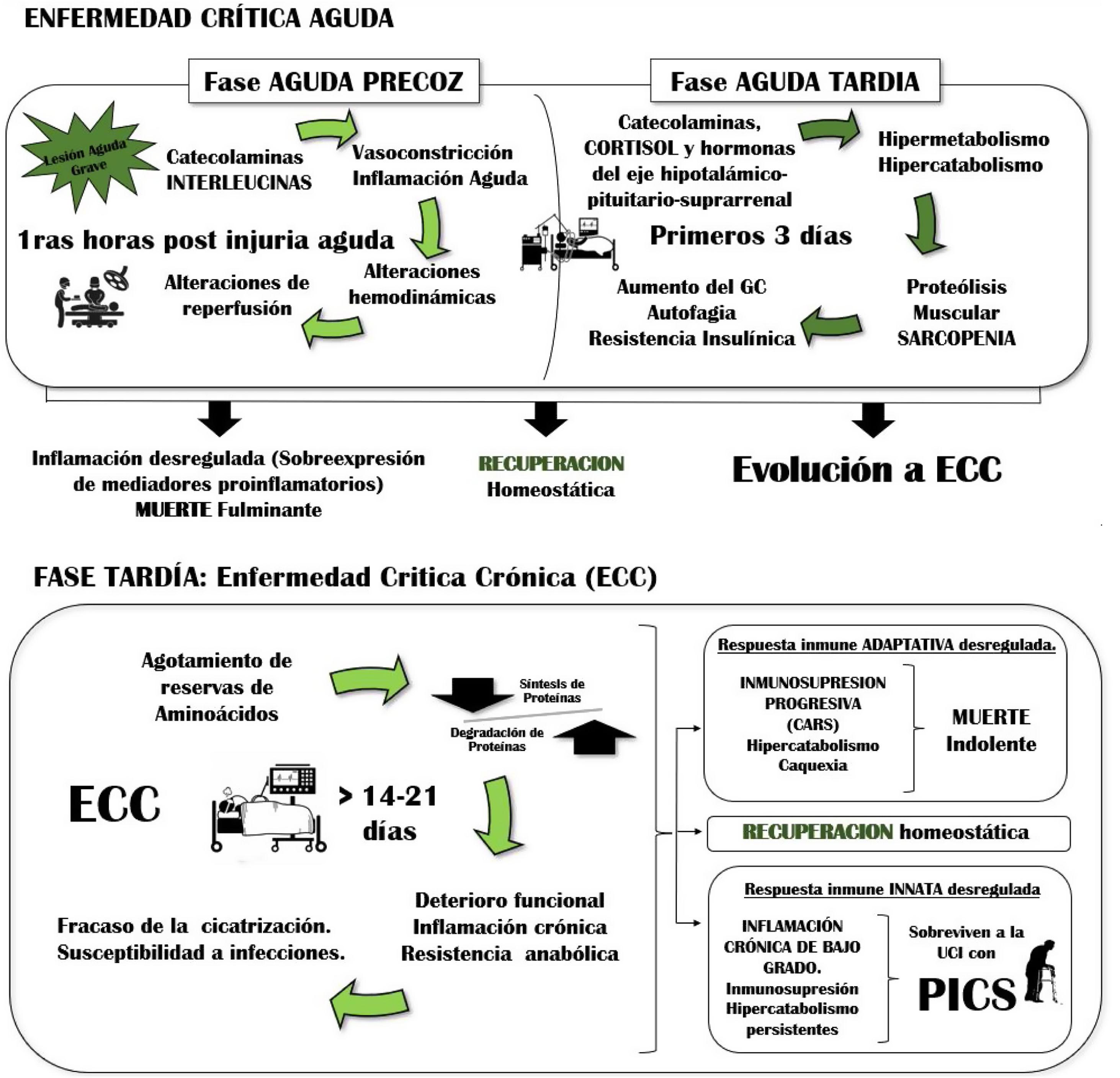 Enfermedad crítica crónica. Un desafío emergente en el contexto de la ...