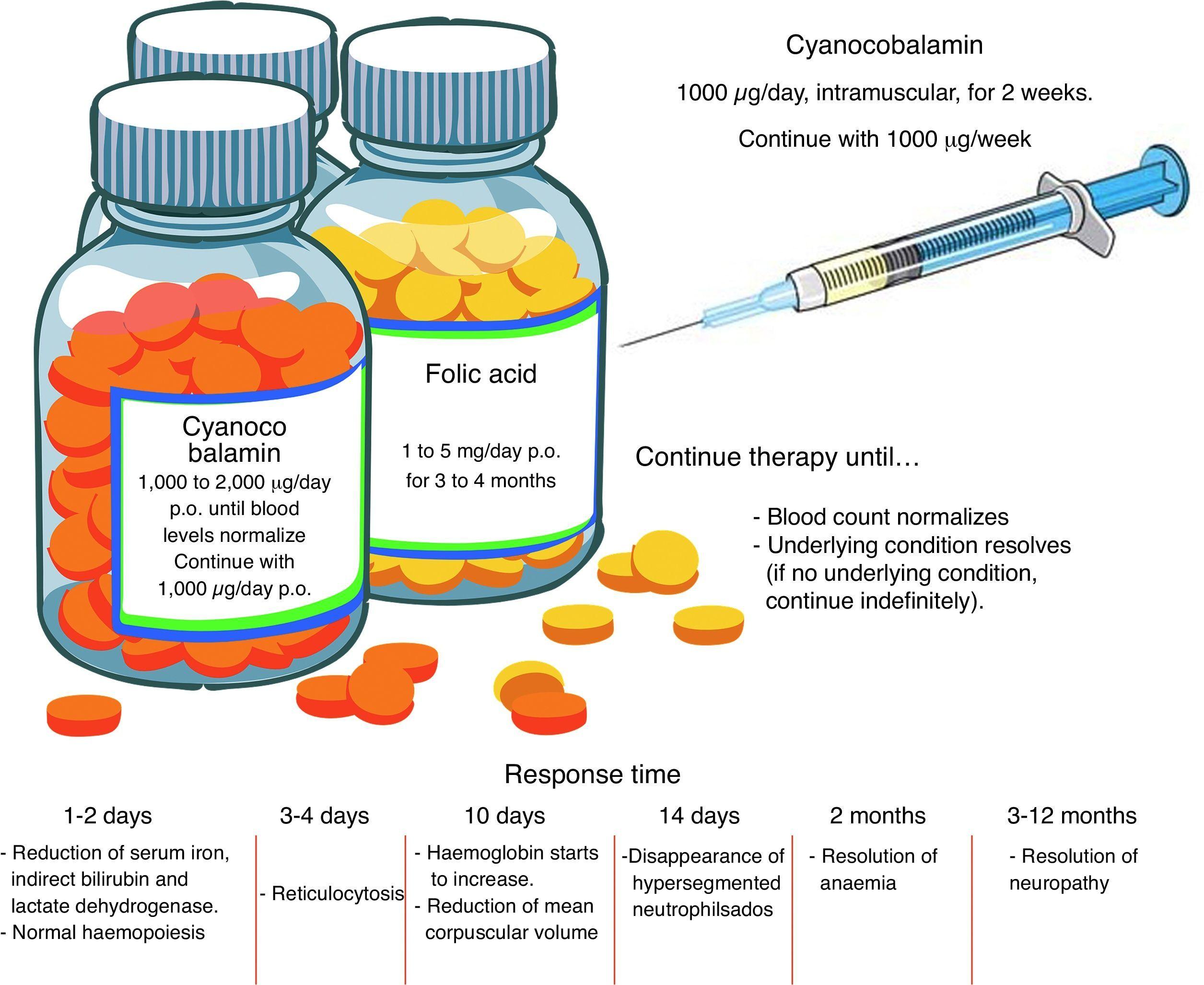 Megaloblastic Anemia Clinical Features