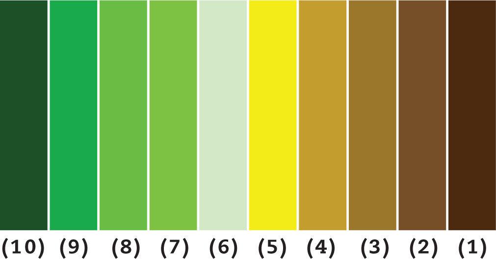 ¿Qué tan verde es un experimento? | Educación Química