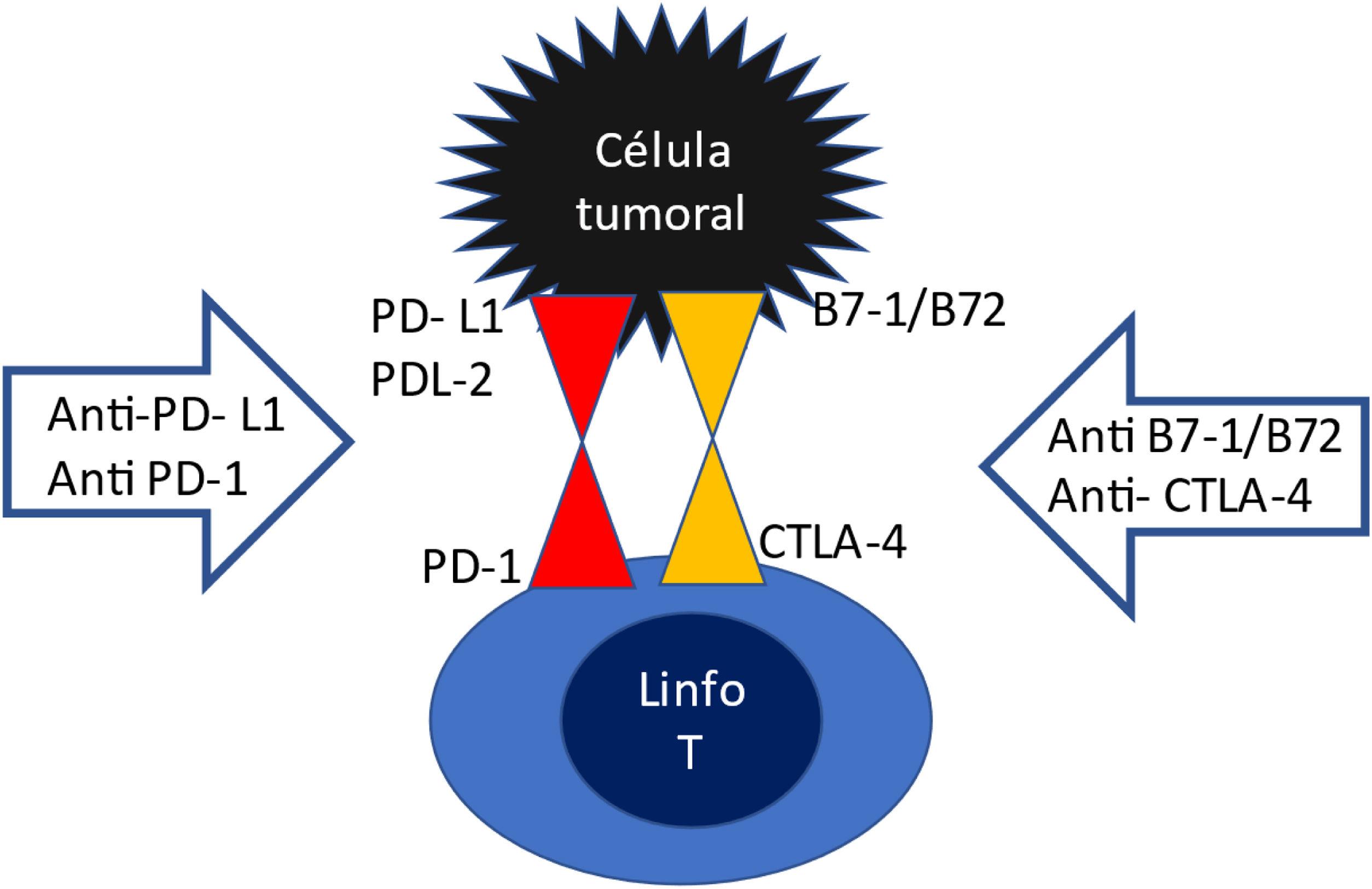 Efectos renales adversos por inhibidores del check-point (ICP) en ...