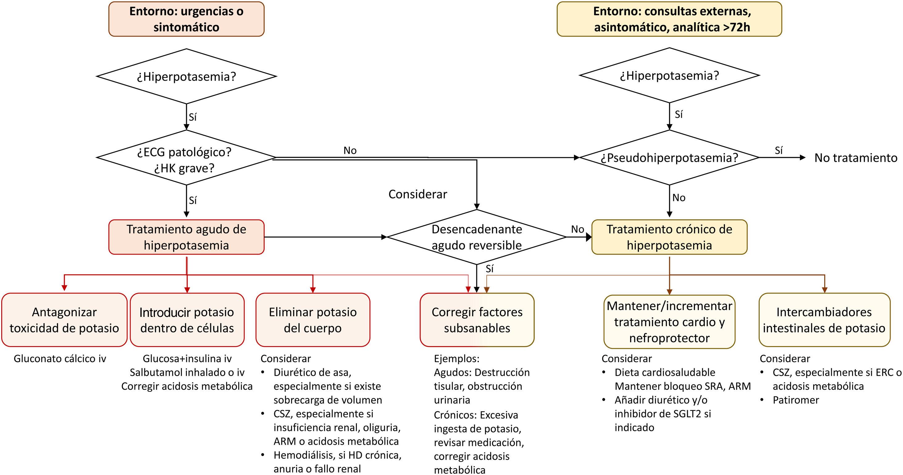 Documento de consenso sobre el abordaje de la hiperpotasemia | Nefrología