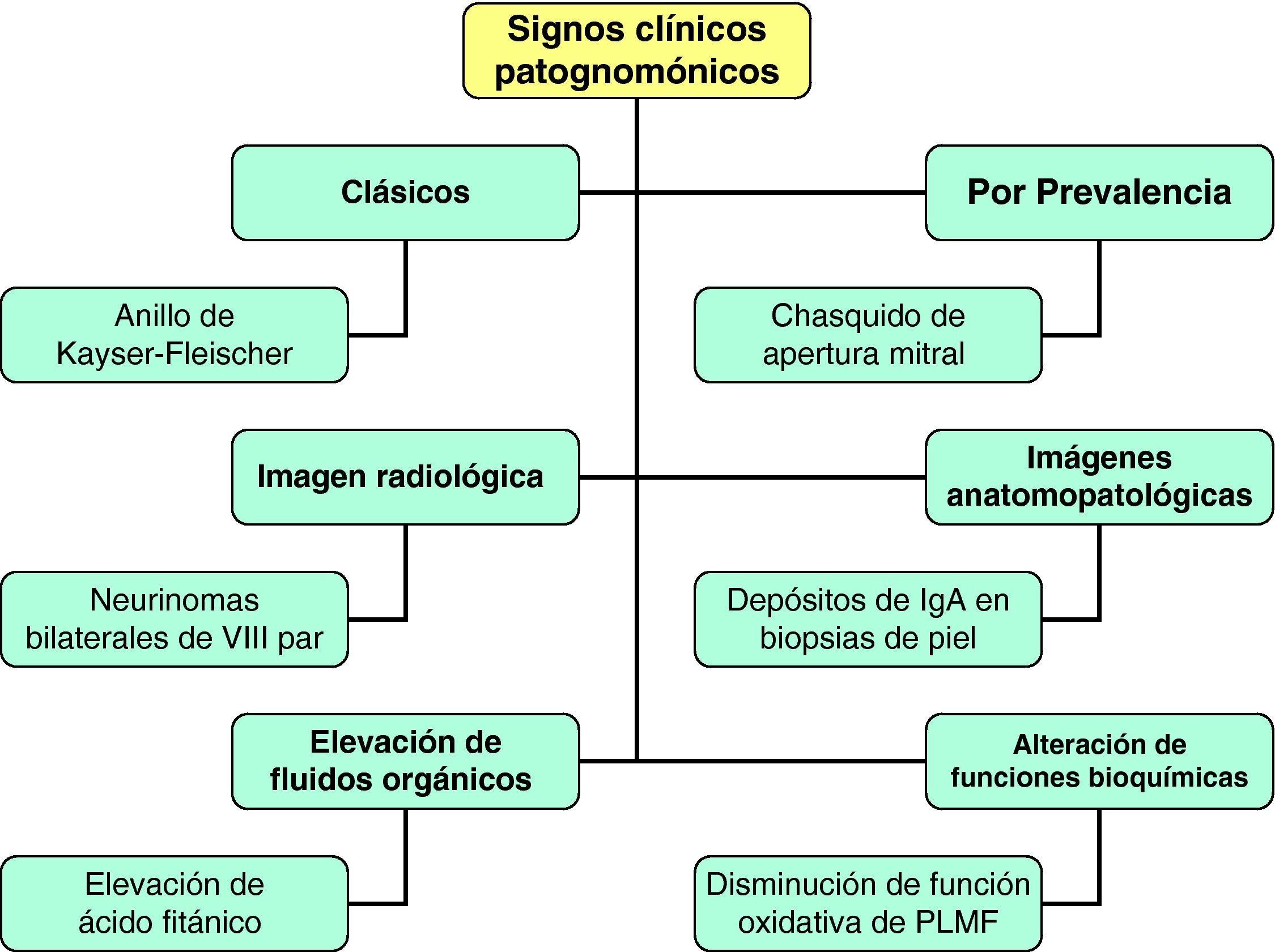 Mapas conceptuales para el diagnóstico de enfermedades raras en ...