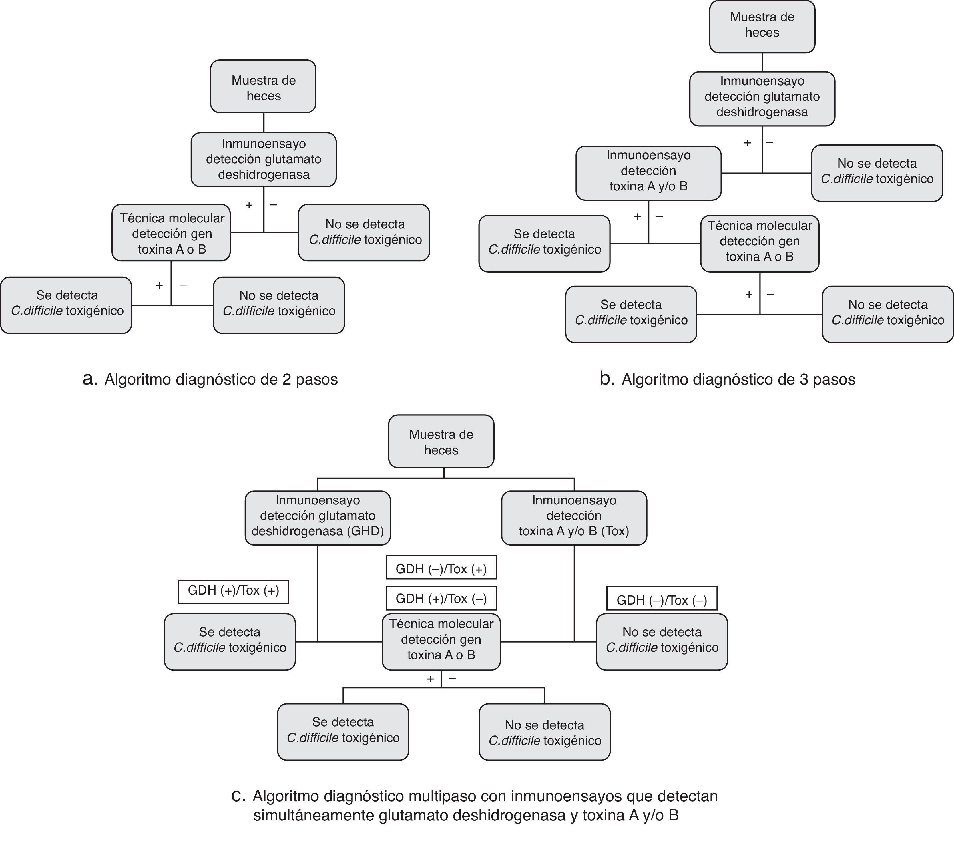Diagnóstico microbiológico de la infección por Clostridium difficile | Enfermedades Infecciosas ...