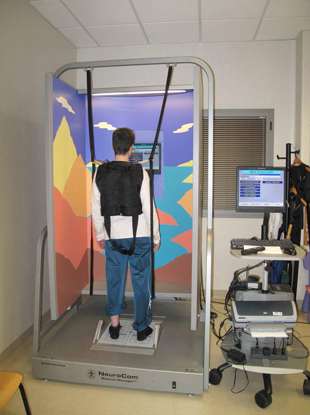 Efectos de la vibroterapia sobre el control postural, la funcionalidad ...