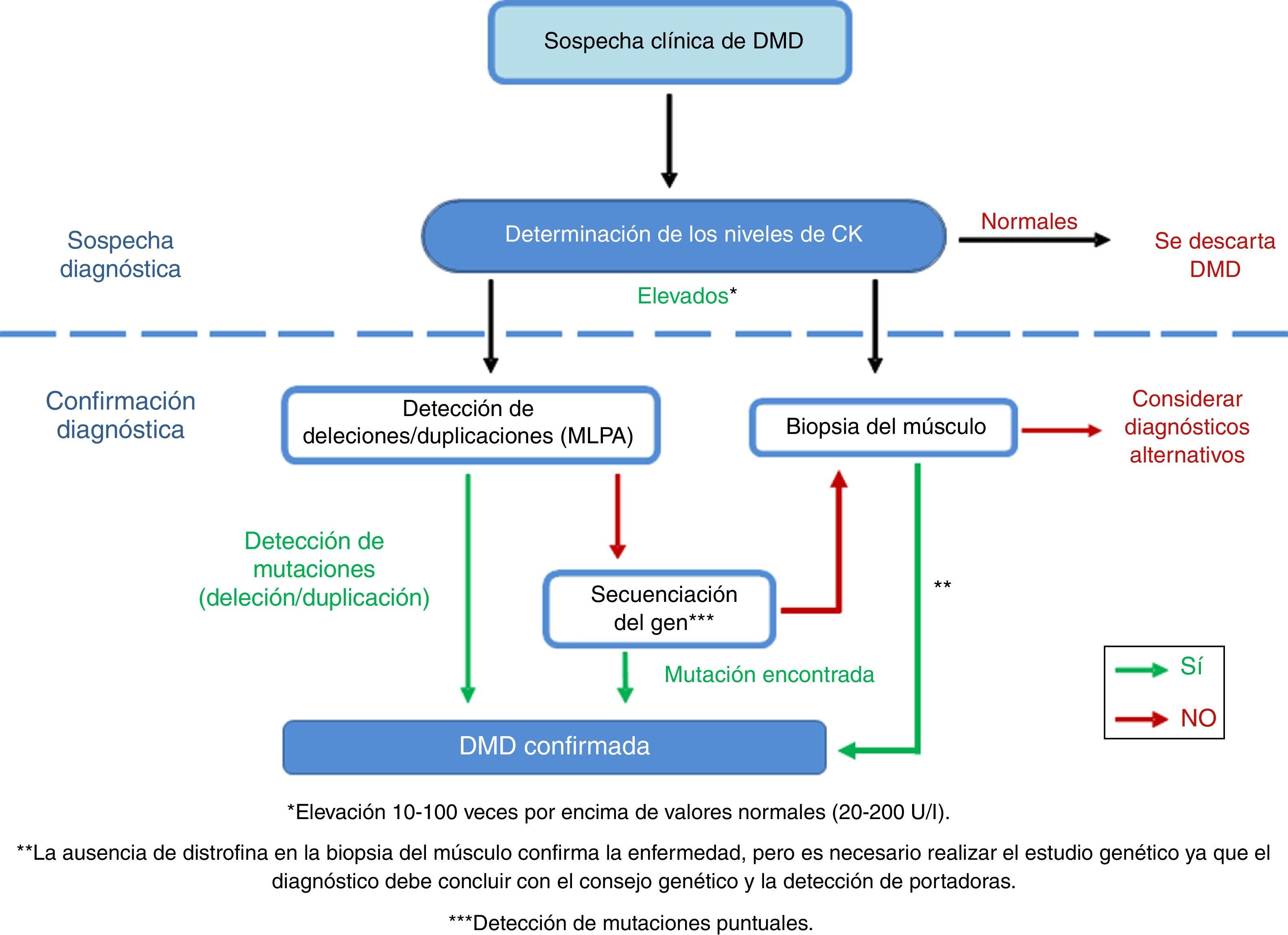 Consenso para el diagnóstico, tratamiento y seguimiento del paciente ...