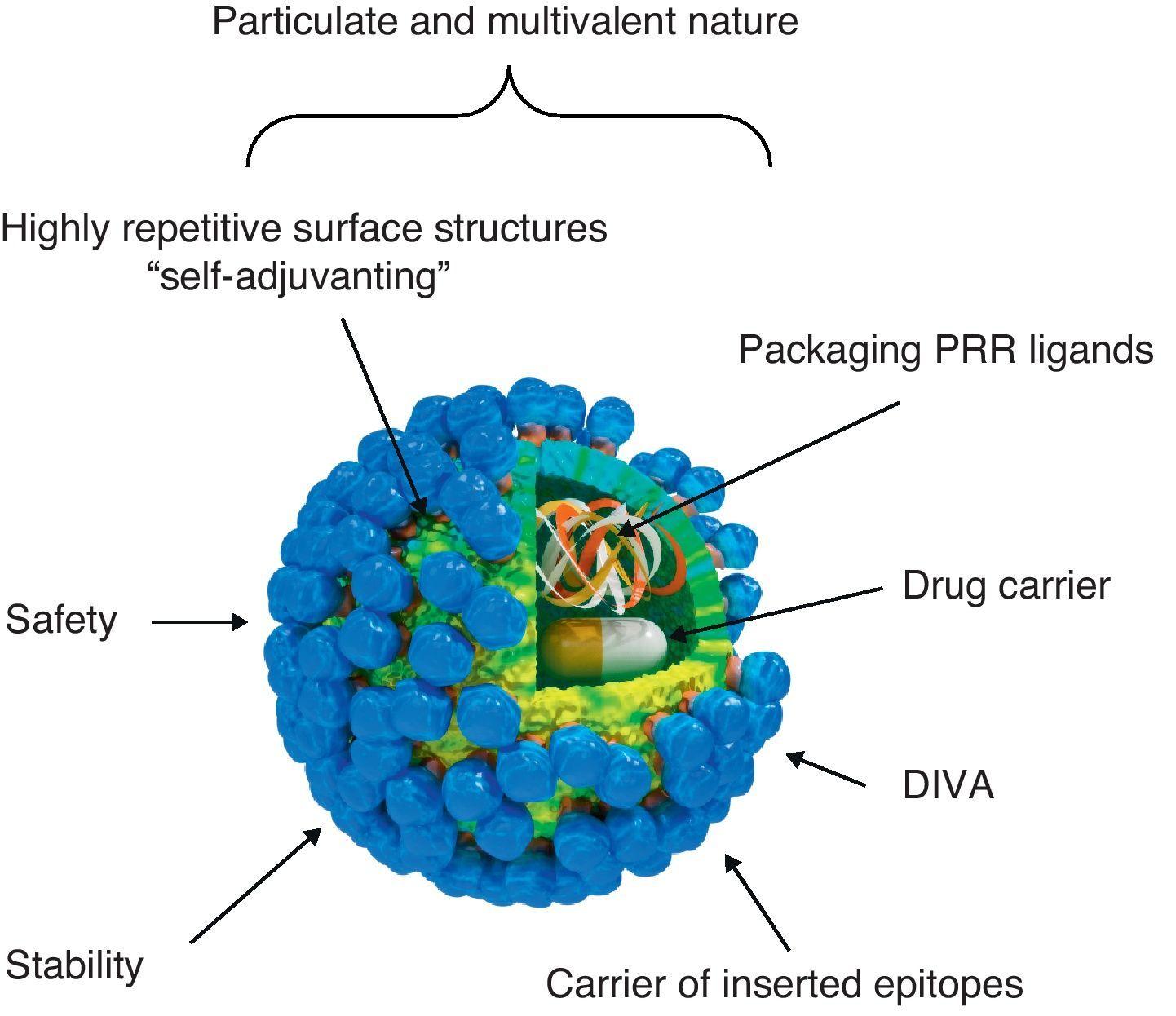 Virus-like particle-based vaccines for animal viral infections ...