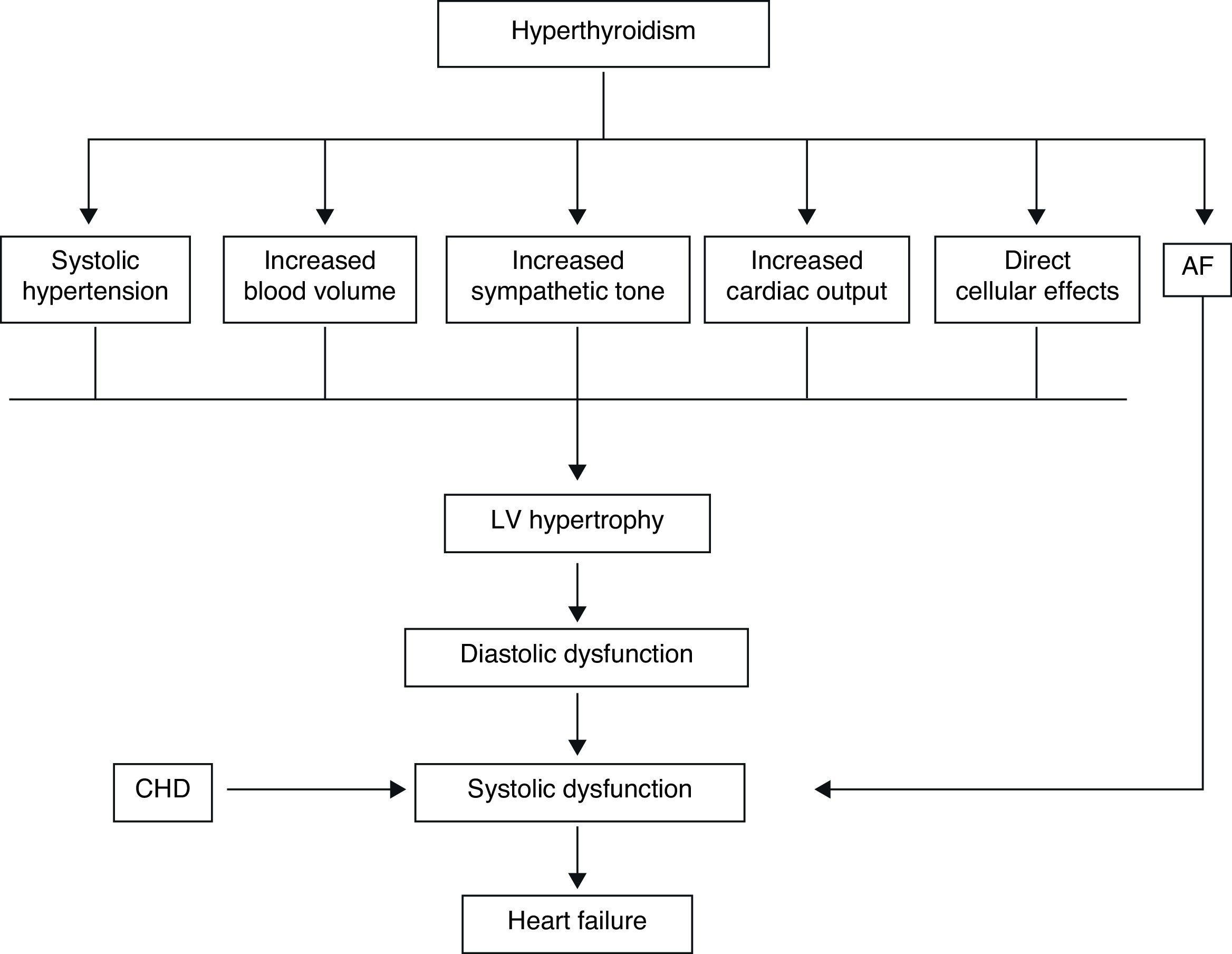 Effects of thyroid hormones on the heart | Clínica e Investigación en ...