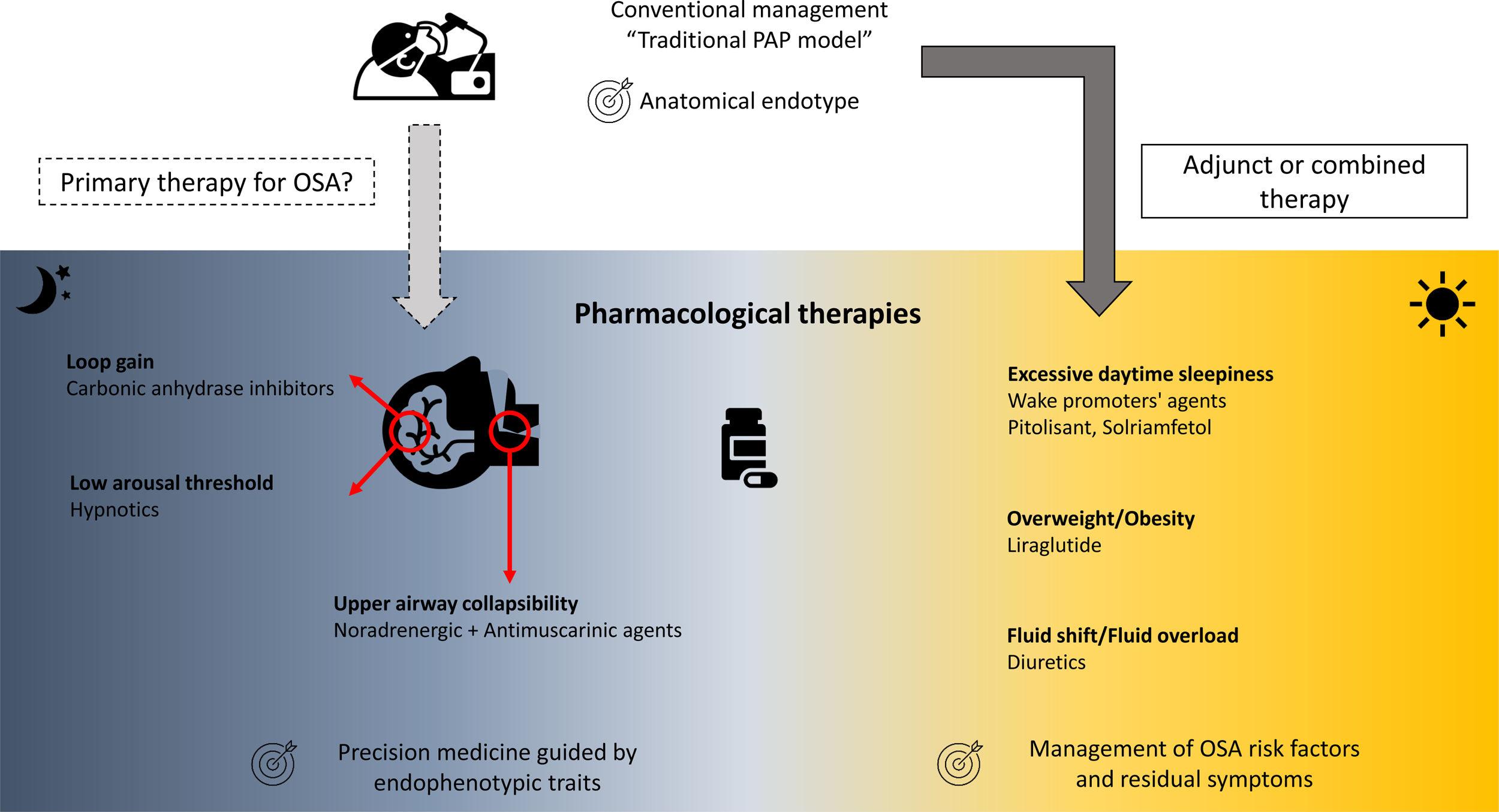Current Knowledge and Perspectives for Pharmacological Treatment in OSA ...