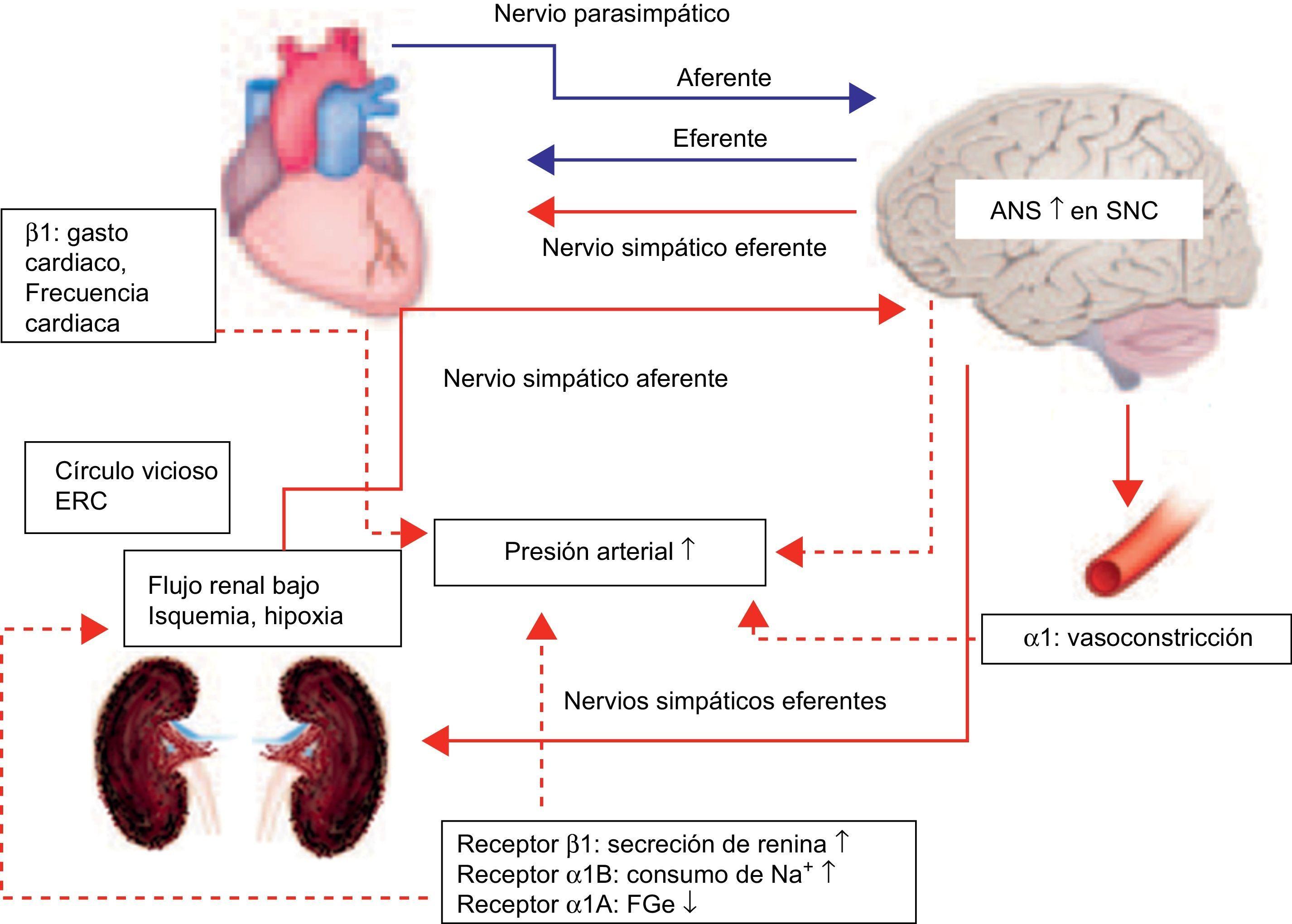 Un tratamiento nuevo para una enfermedad antigua: tratamiento de la ...