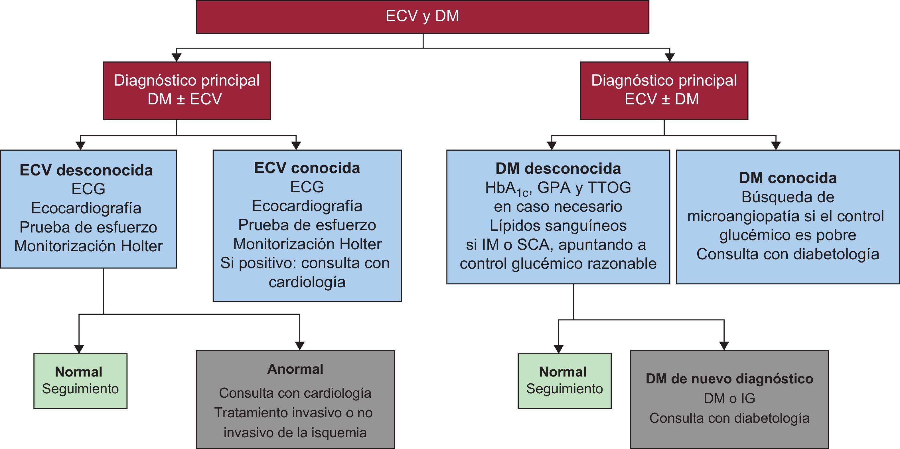 Diabetes y cribado de enfermedad coronaria: ¿dónde centramos el ...