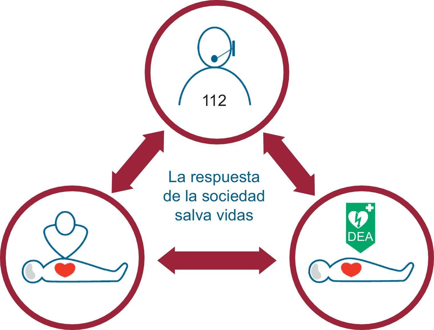 Guías de resucitación cardiopulmonar 2015 del Consejo Europeo de ...