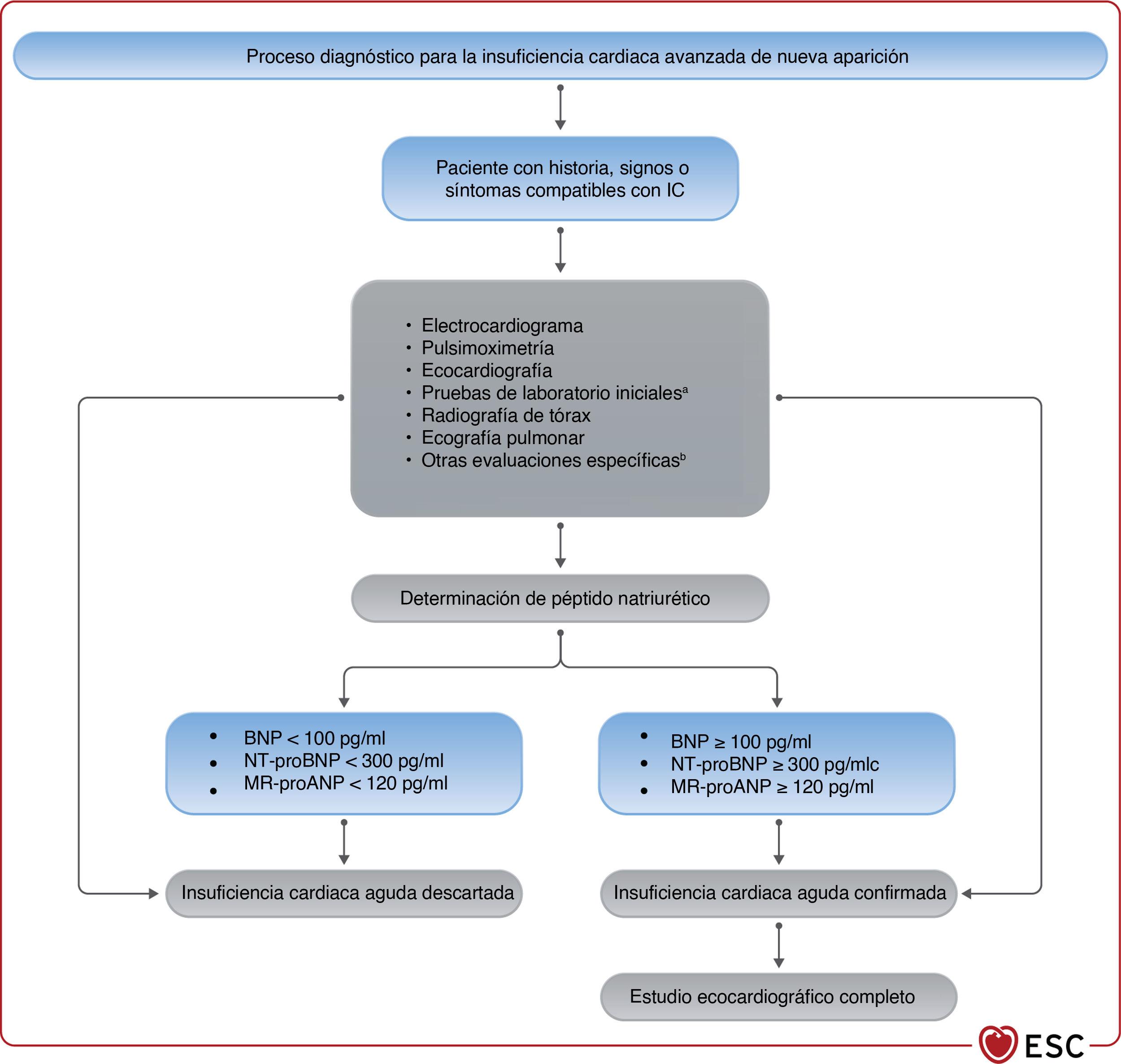 Guía ESC 2021 sobre el diagnóstico y tratamiento de la insuficiencia ...