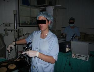 La rata Wistar como modelo animal experimental, para el adiestramiento ...