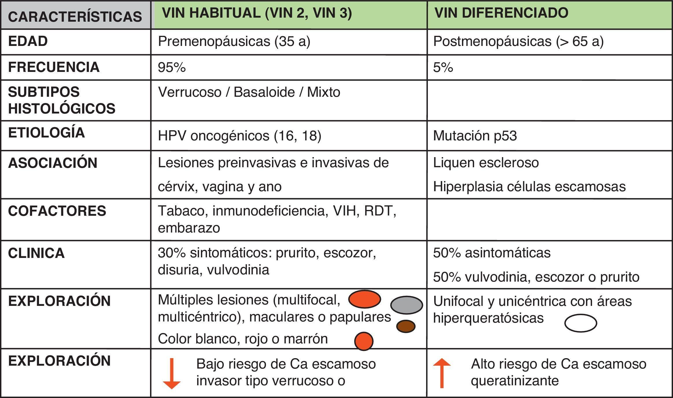 Carcinoma oculto de vulva en neoplasia vulvar intraepitelial ...
