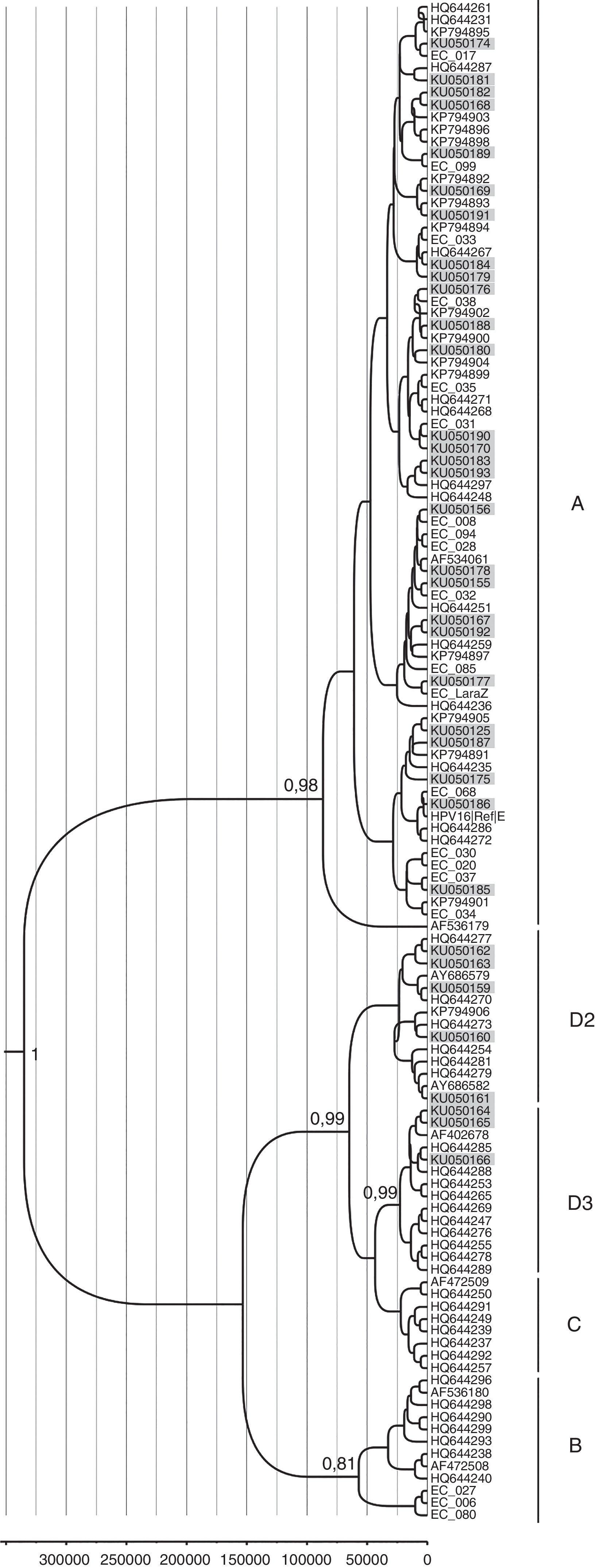 Molecular epidemiology and phylogenetic analysis of human ...