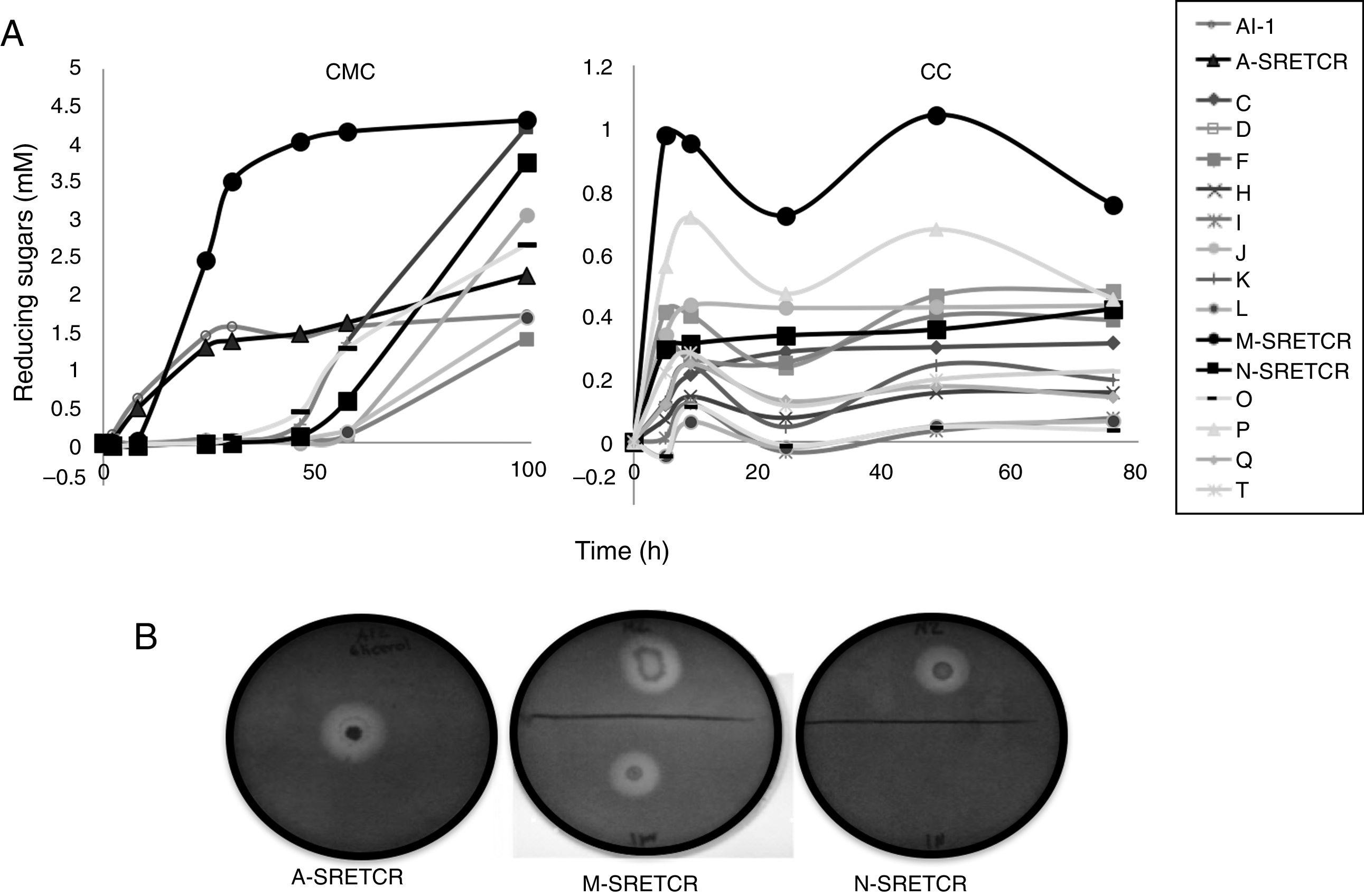 Bacillus subtilis with endocellulase and exocellulase activities ...