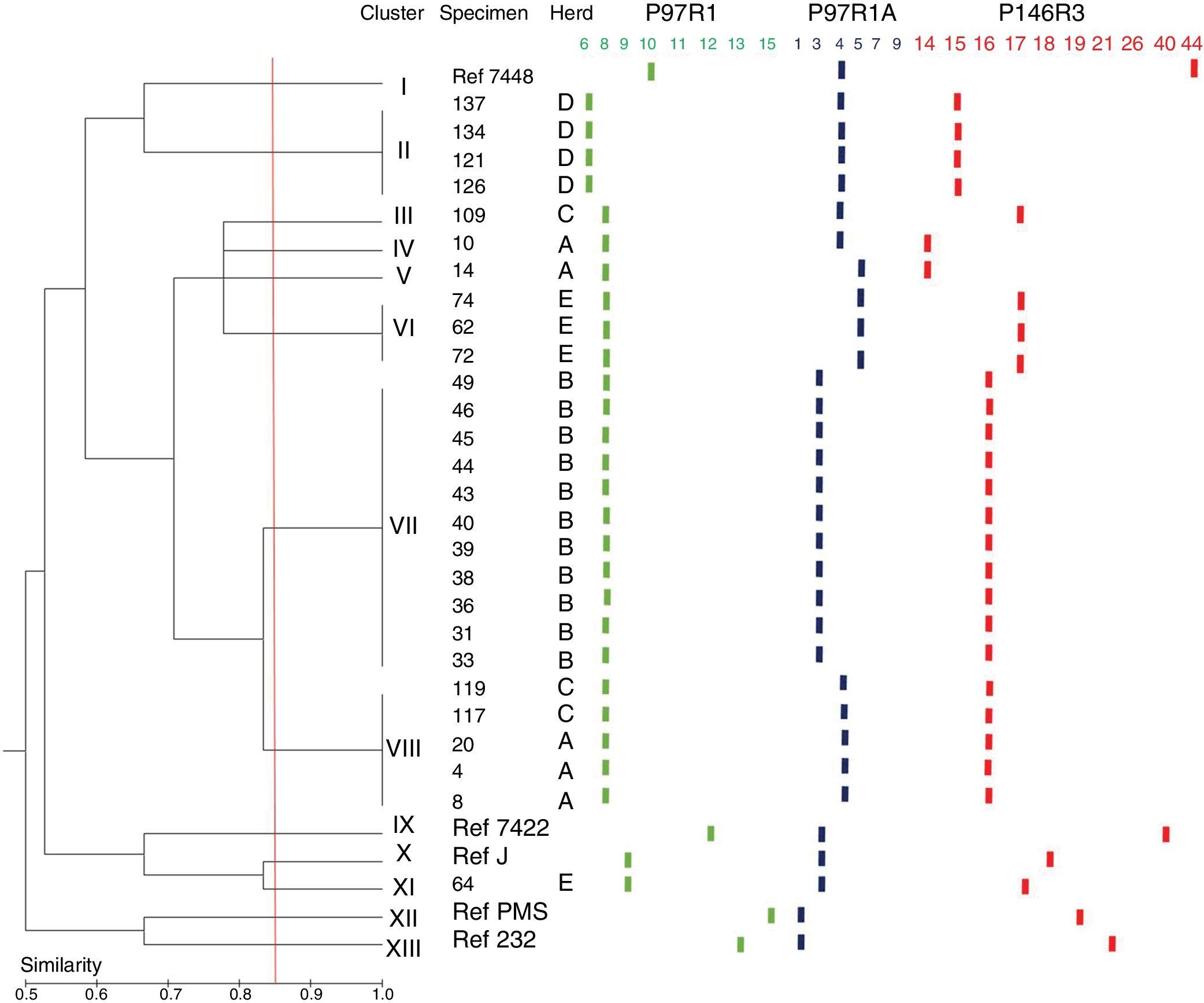 Genetic diversity of Mycoplasma hyopneumoniae in Mendoza province ...