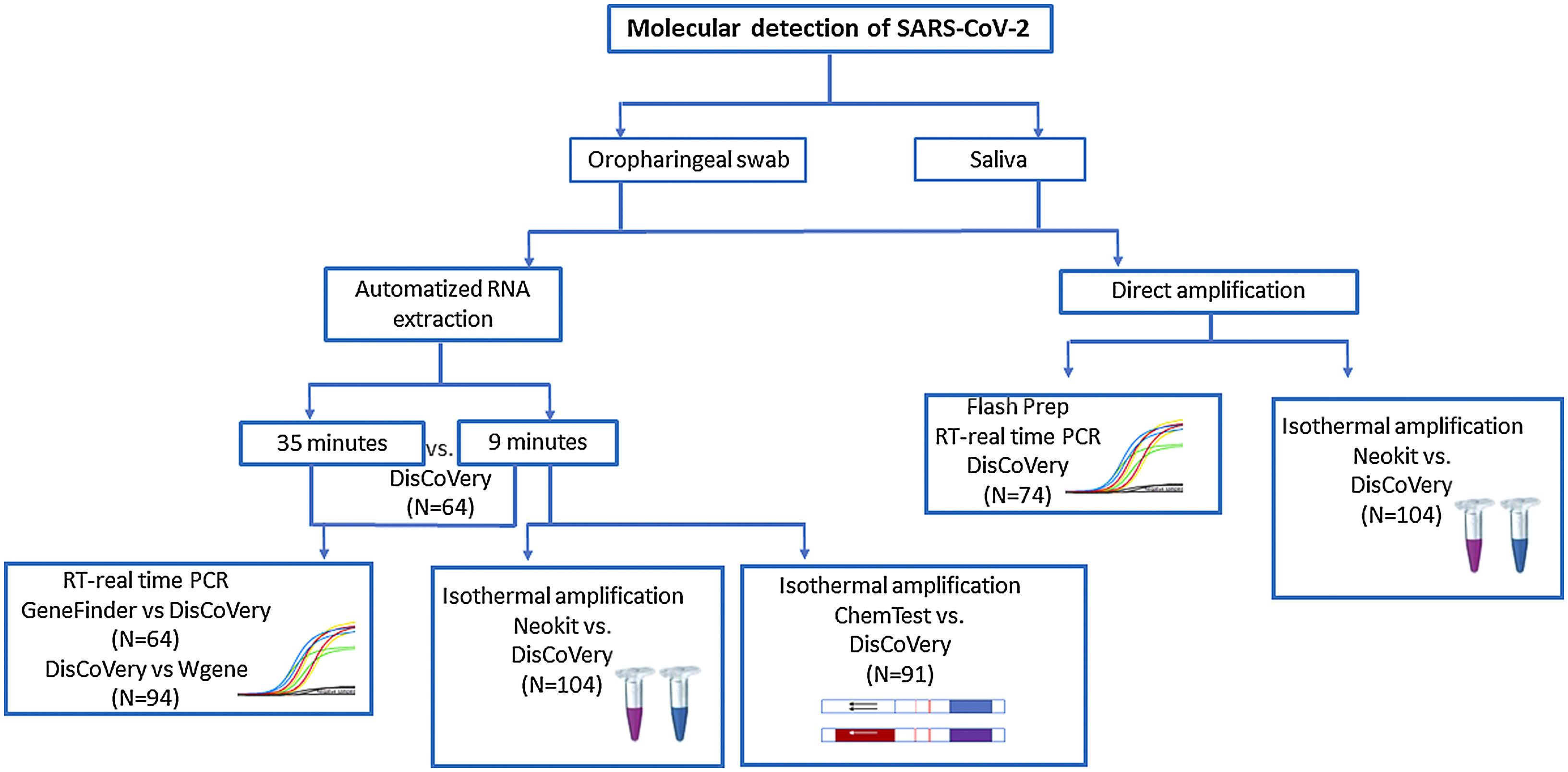 Molecular detection of SARS-CoV-2 in Argentina: Evaluation of ...