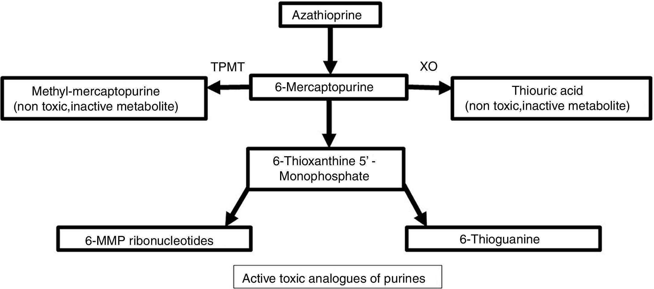Azathioprine: its uses in dermatology | Anais Brasileiros de ...