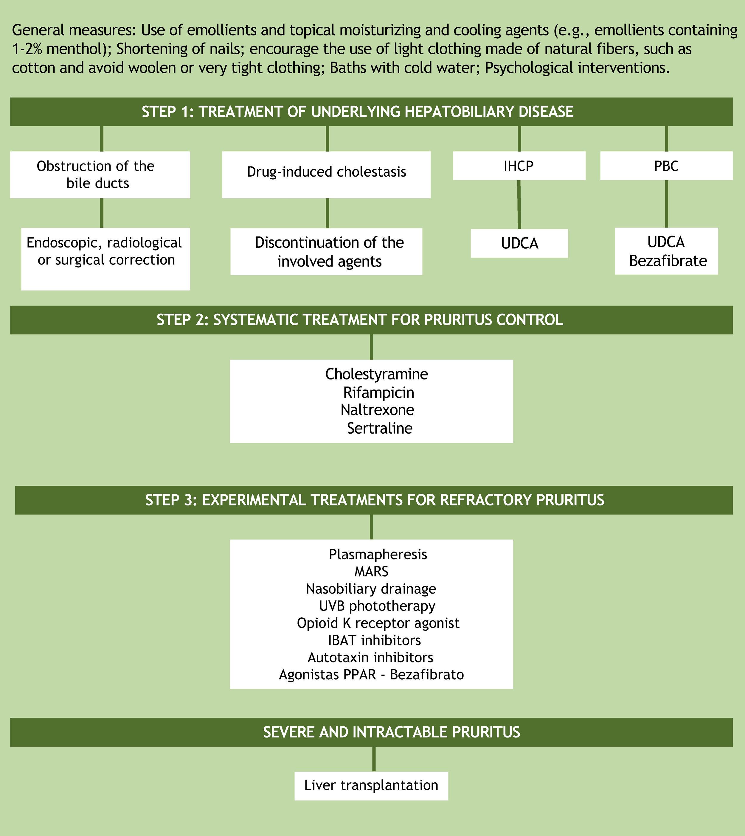 Cholestatic pruritus: a knowledge update | Anais Brasileiros de ...