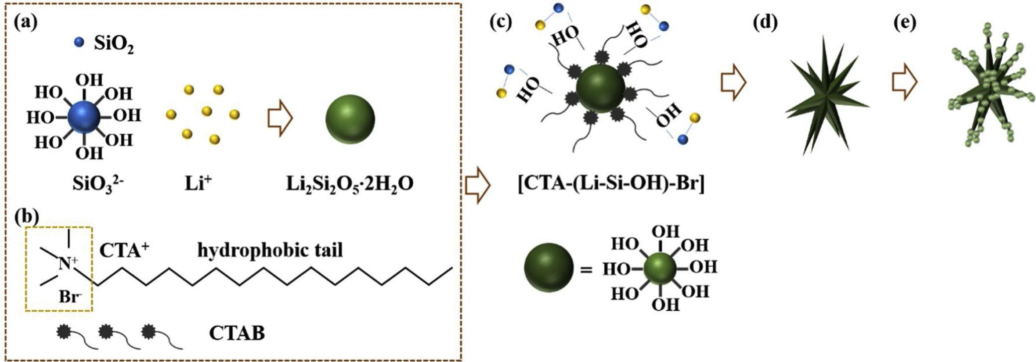 CTAB-mediated lithium disilicate branched structures as superb ...