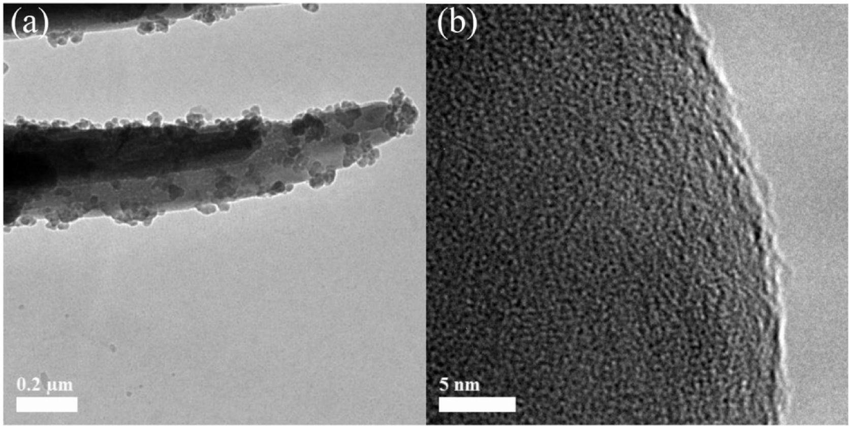 CTAB-mediated lithium disilicate branched structures as superb ...