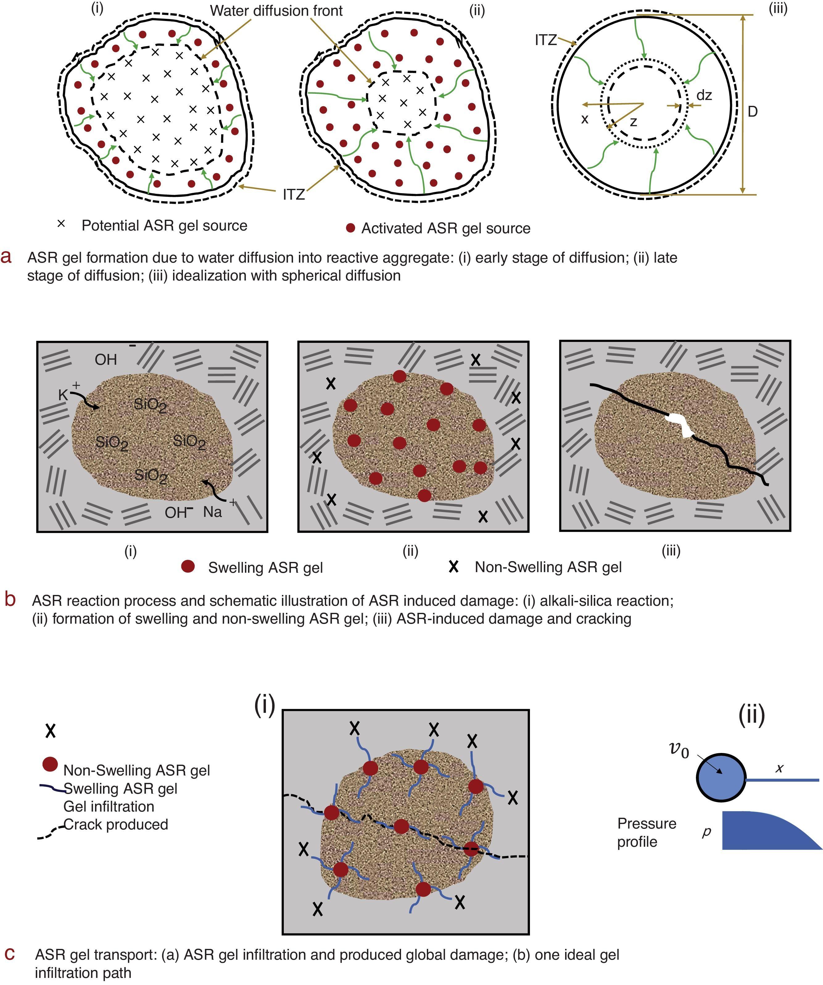 Importance of creep and ASR gel diffusion in predicting ASR induced ...