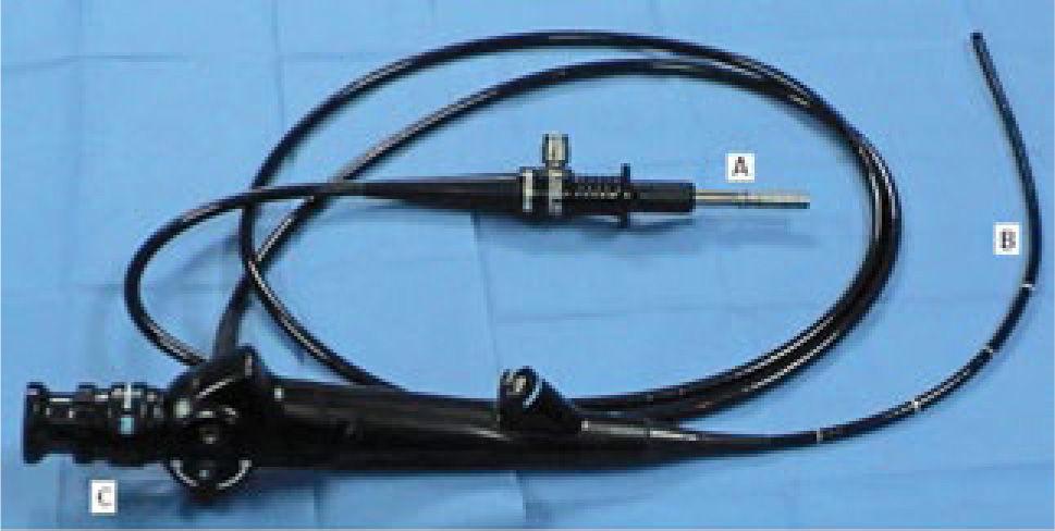 Manejo avanzado de la vía aerea | Revista Médica Clínica Las Condes