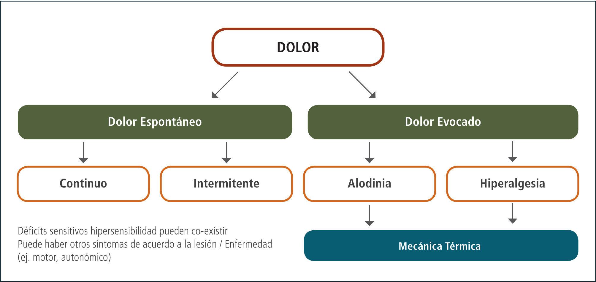 Dolor neuropático, clasificación y estrategias de manejo para médicos ...