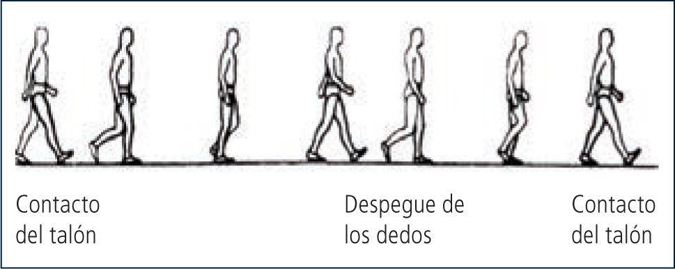 Manejo del trastorno de marcha del adulto mayor | Revista Médica ...