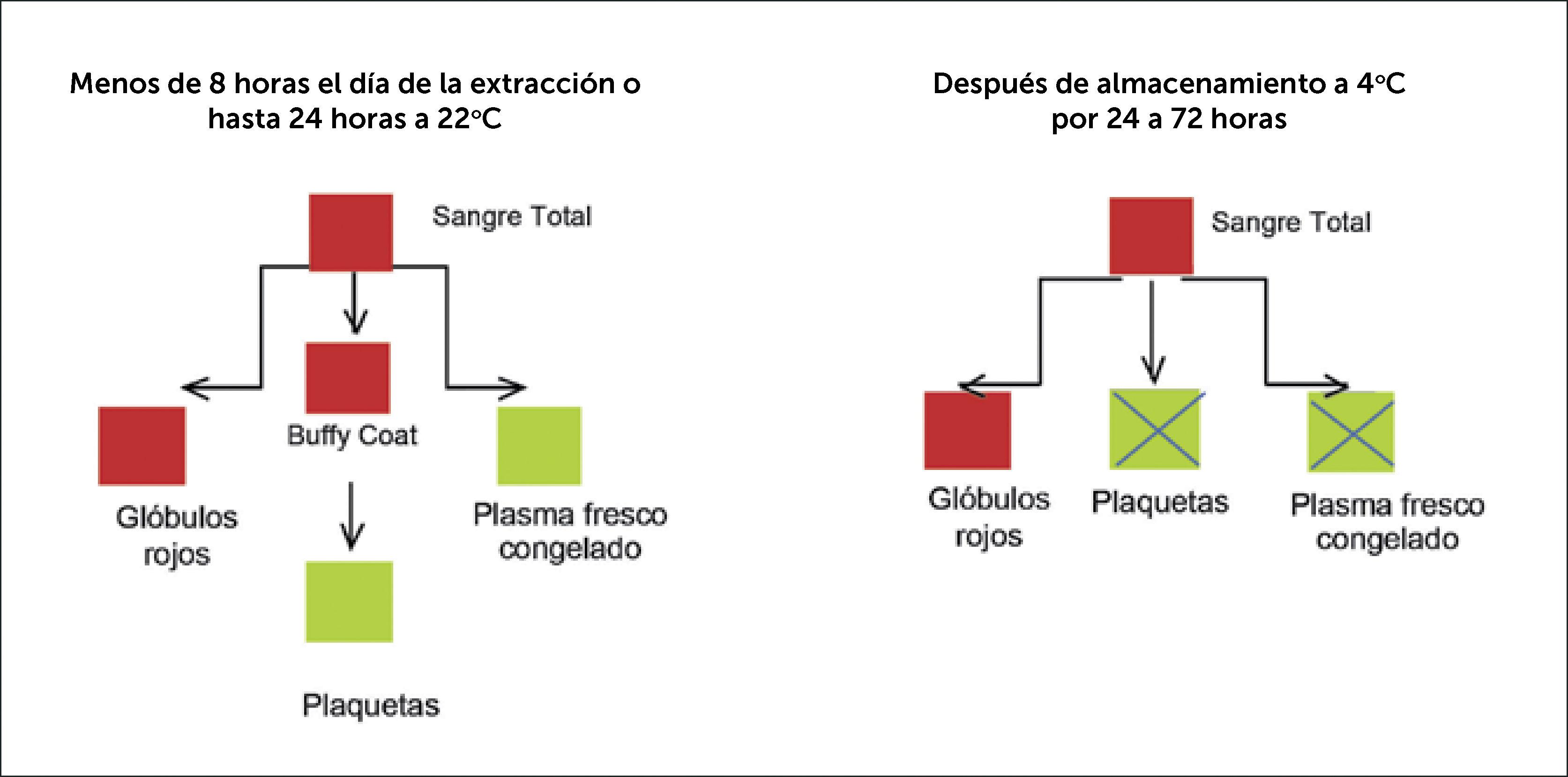 MEDICINA TRANSFUSIONAL EN EL SIGLO XXI | Revista Médica Clínica Las Condes