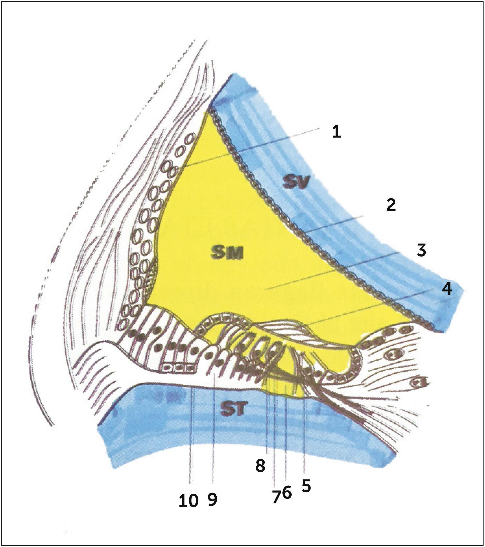 INTRODUCCIÓN Y PERSPECTIVA GENERAL DE LA HIPOACUSIA NEUROSENSORIAL ...