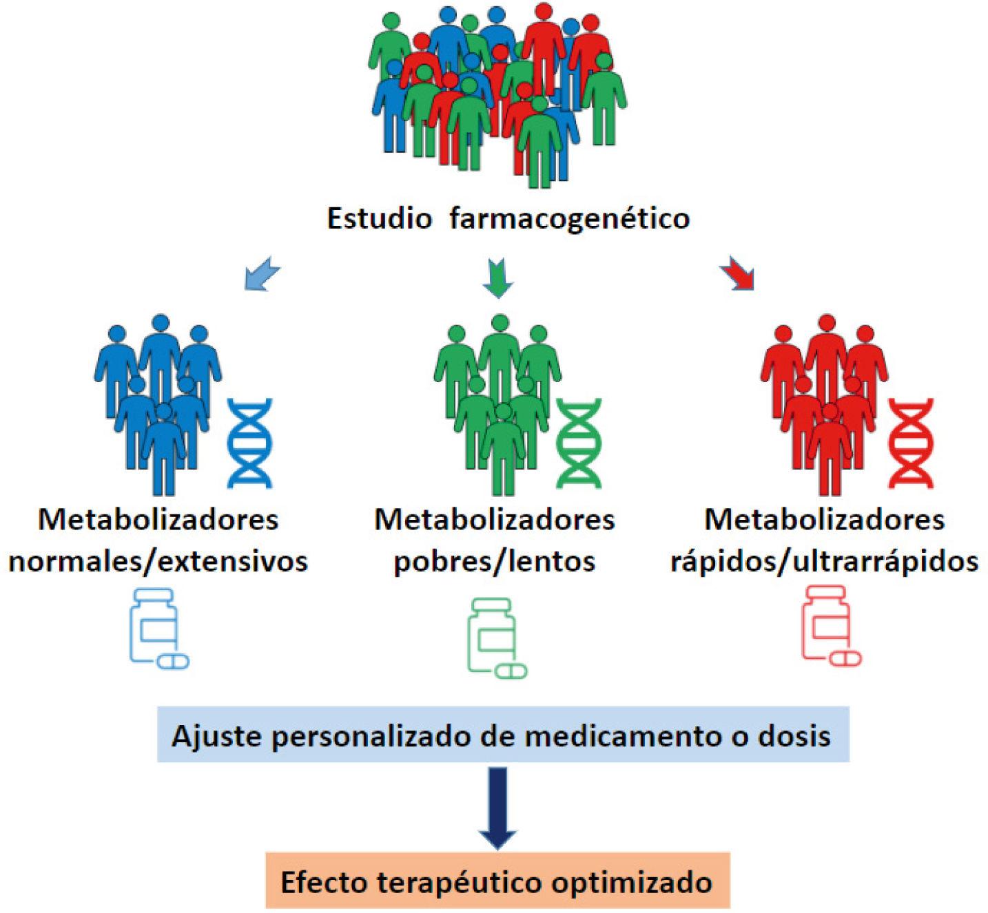 Uso de la farmacogenética como herramienta de precisión en psiquiatría ...