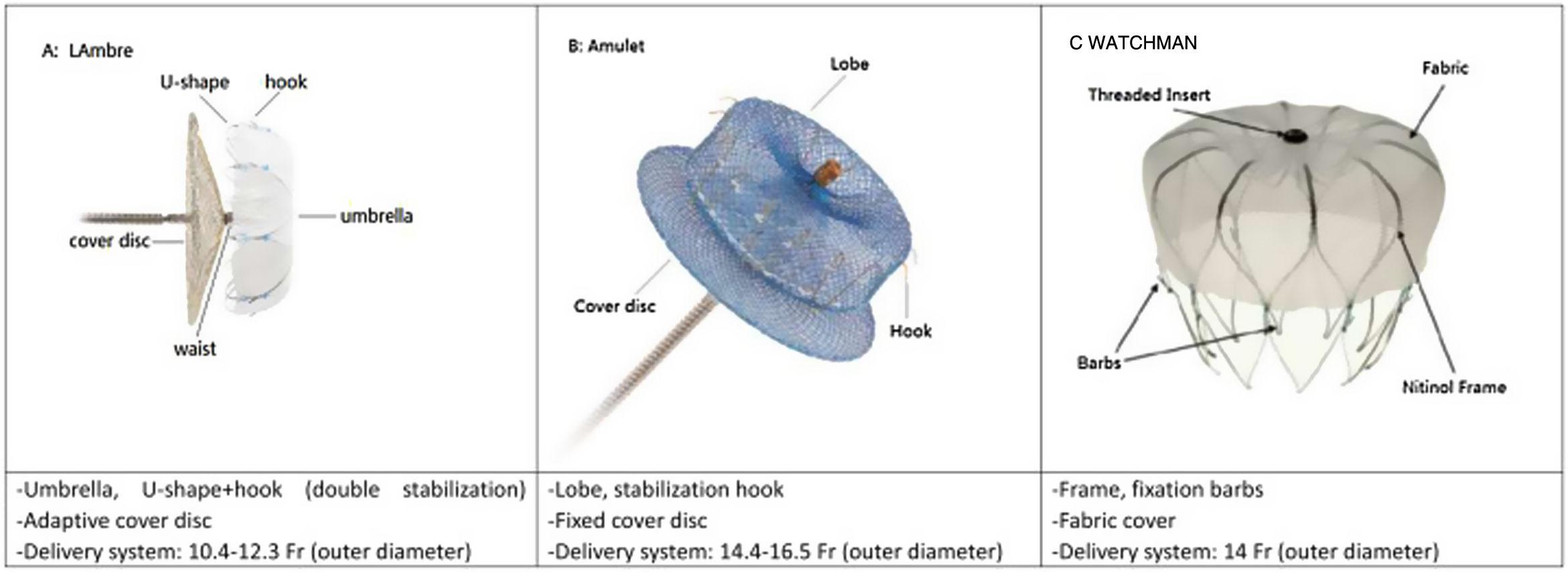Intracardiac echocardiography-guided left atrial appendage occlusion ...