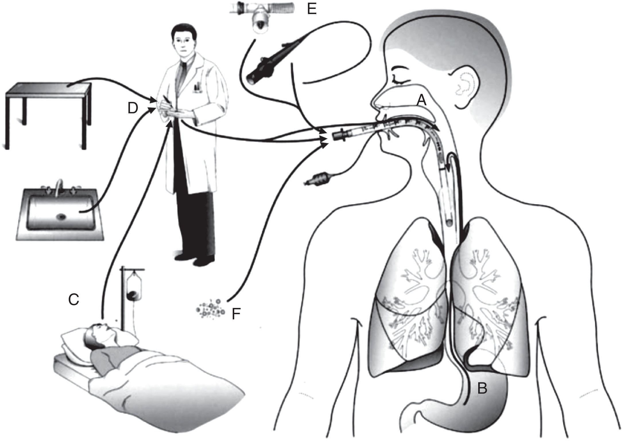 Ventilator Associated Pneumonia Pathophysiology